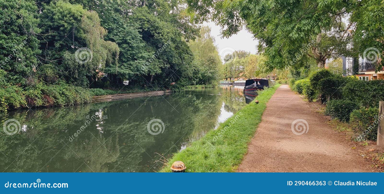A water channel stock image. Image of tree, water, pond - 290466363