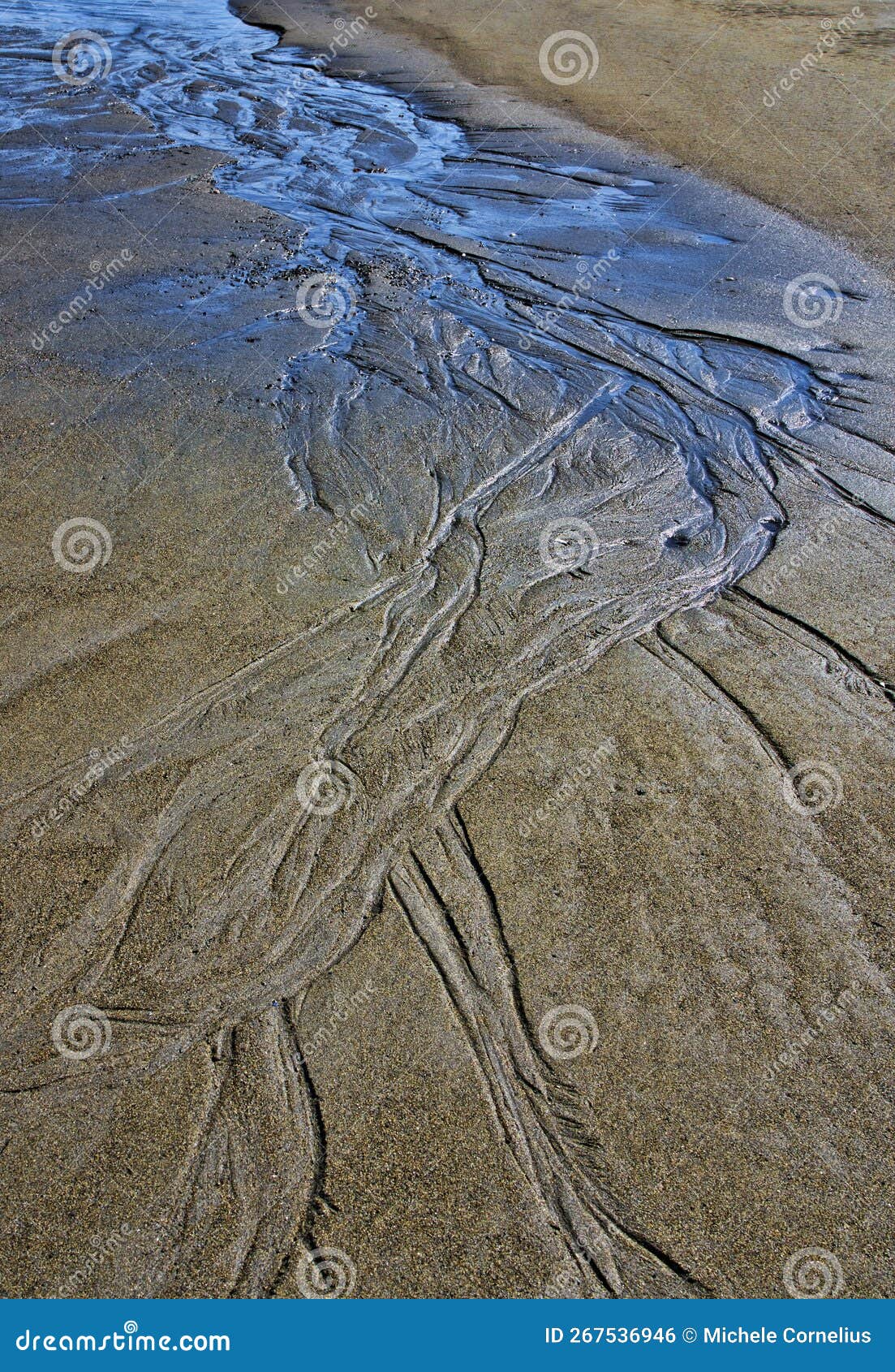 Water Channels Formed on Tidal Beach Stock Photo - Image of outdoors ...