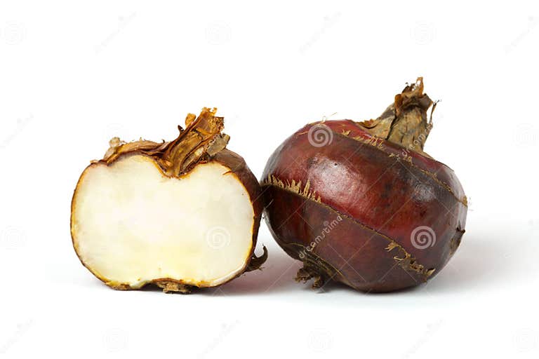 Water chestnut stock image. Image of closeup, white, chestnuts - 25265597