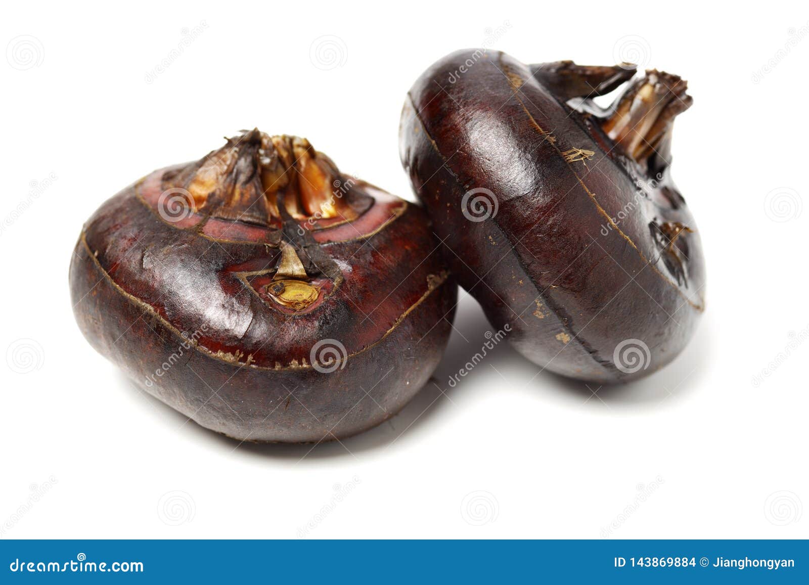 Water Chestnut stock photo. Image of sedge, seed, produce - 143869884