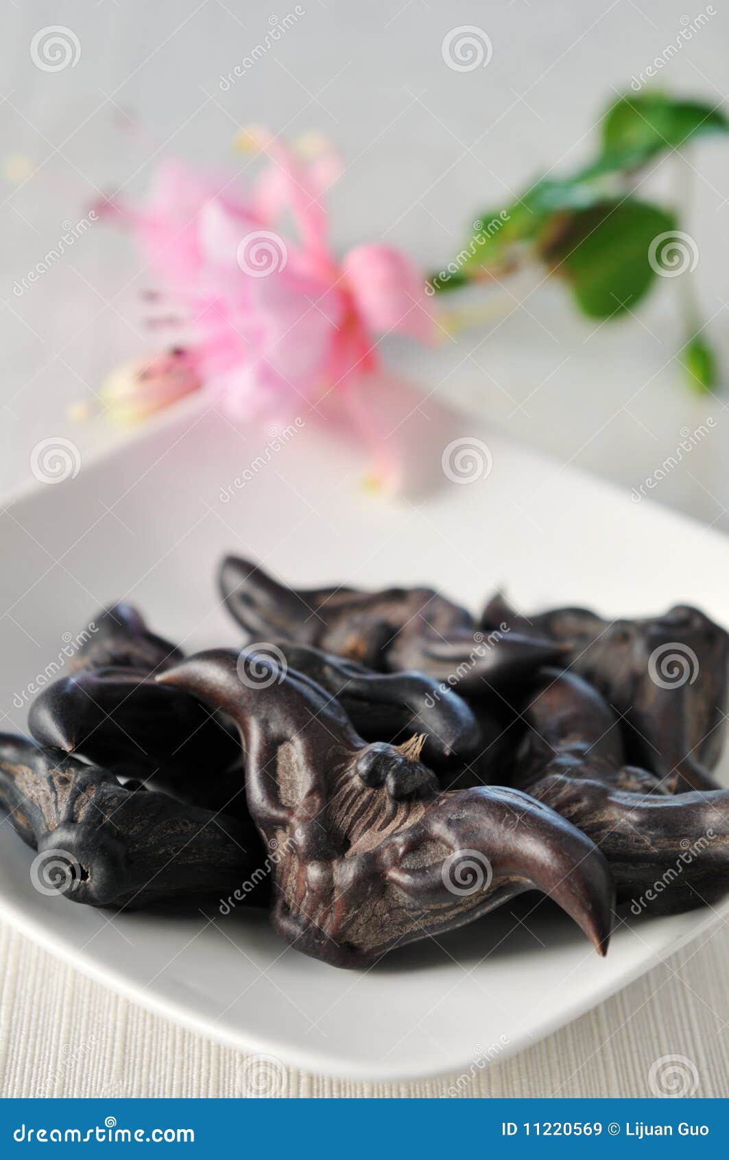 Water Chestnuts or Caltrops Stock Image - Image of plant, shell: 11220569