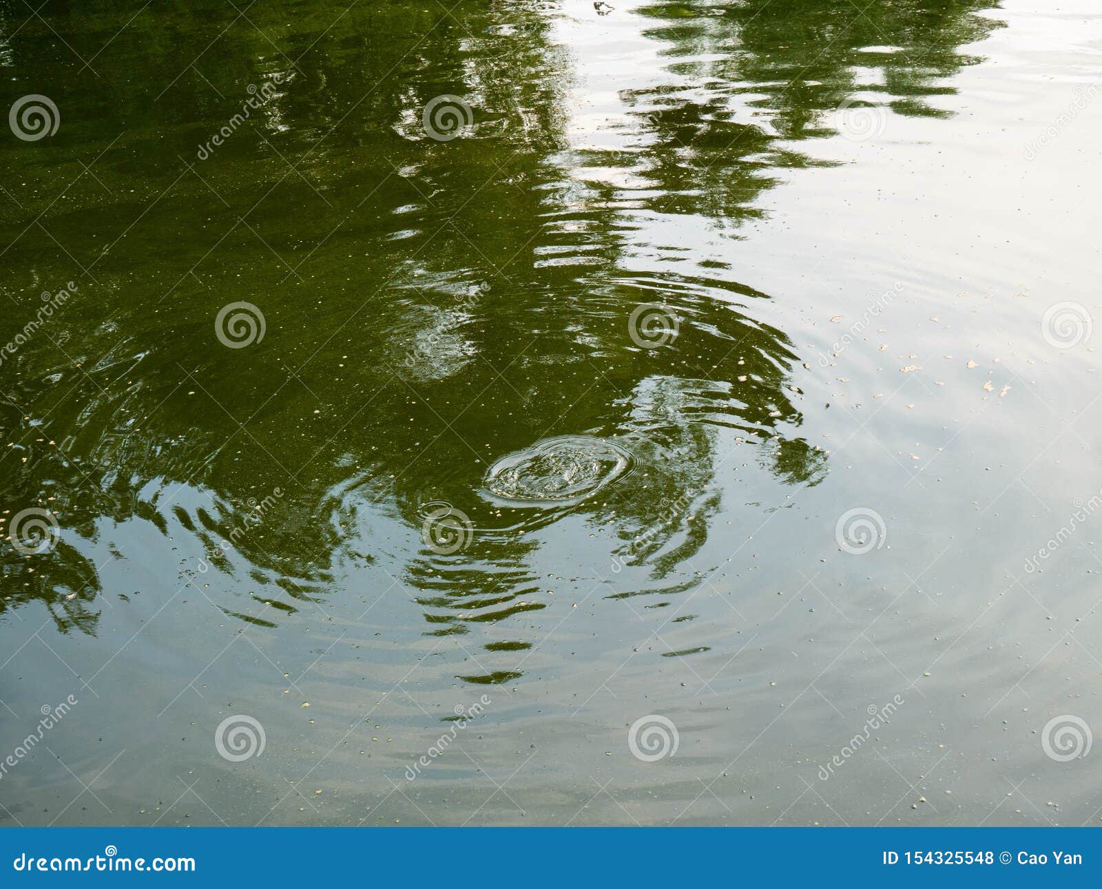 Water Circles in the Lake. Rain Drops Circles on Green Lake Water ...