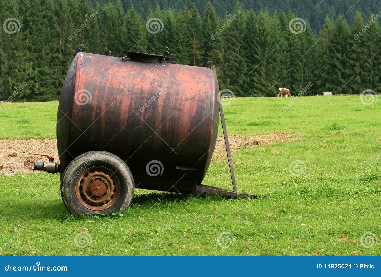 Water Cistern On Top Of The Sigiriya Rock Fortress, Sri Lanka. Royalty ...