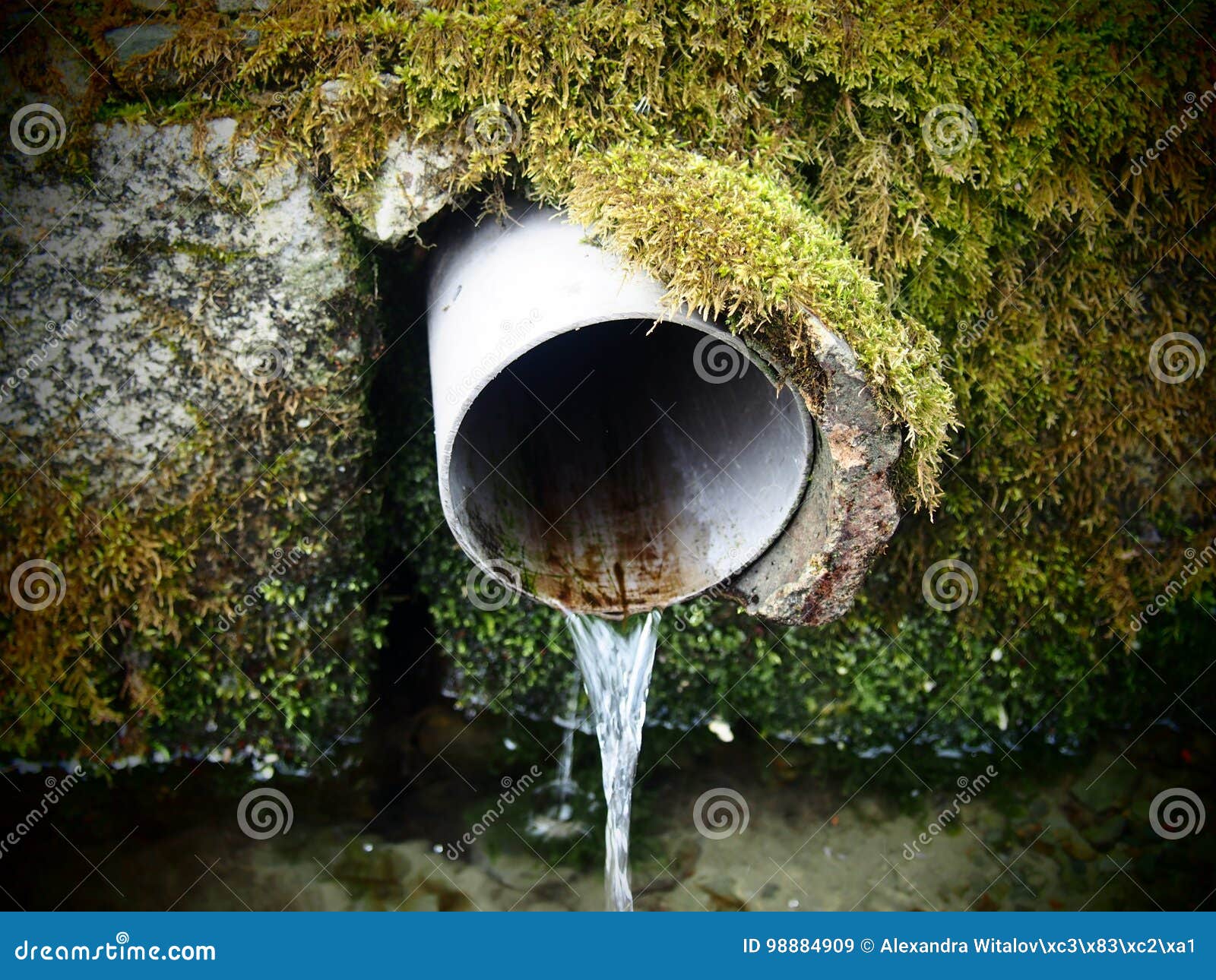 Water stock image. Image of moss, spring, detail, water - 98884909