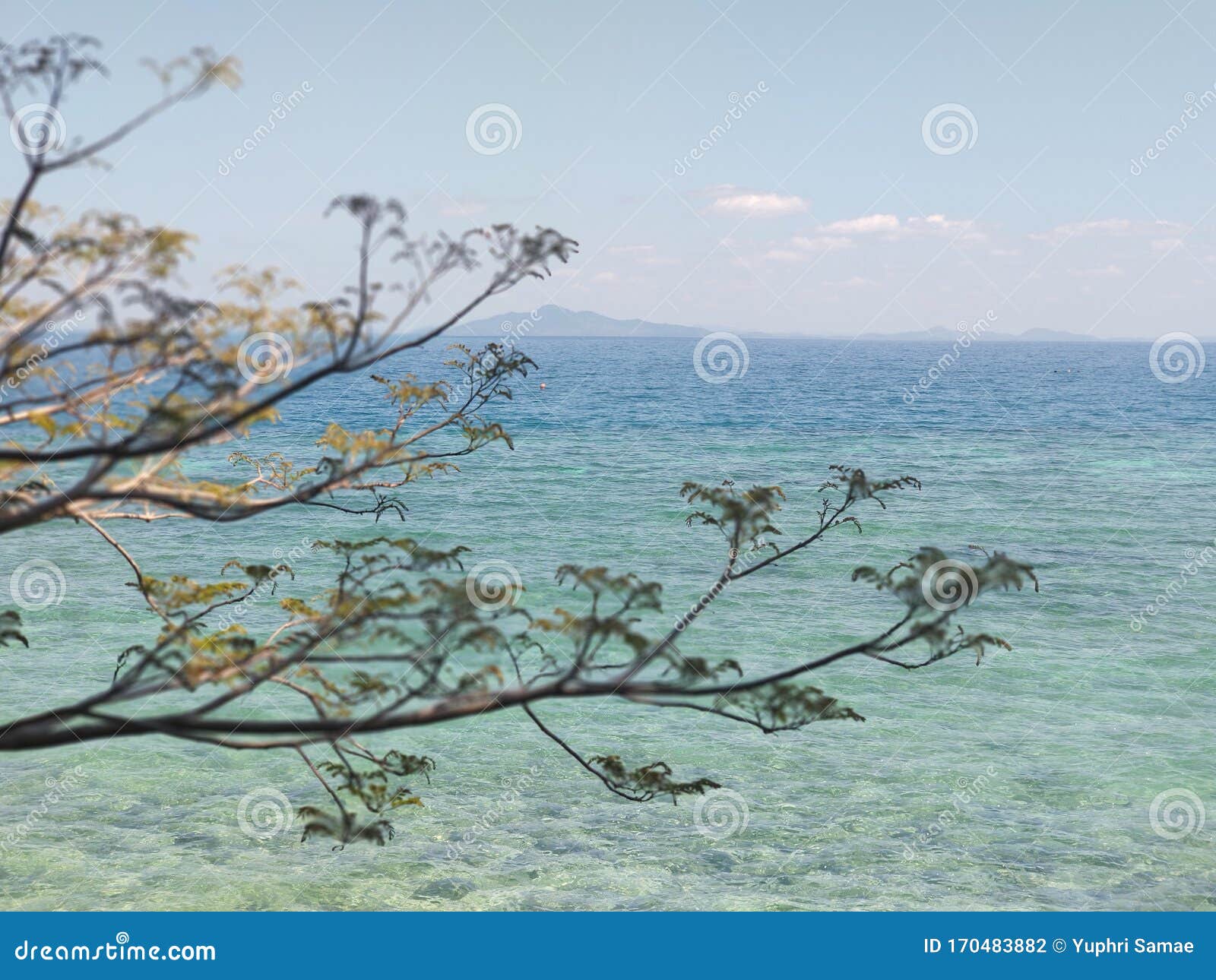 The Water is Clear and See Deep Under Water Stock Photo - Image of deep ...