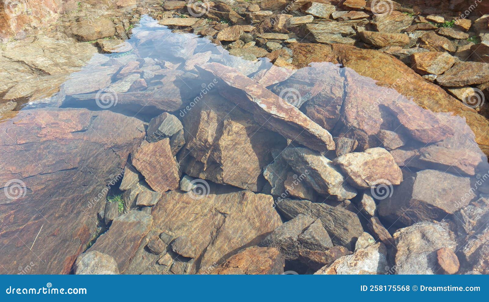 The Water is so Clear that You See the River Bottom Perfectly Stock ...