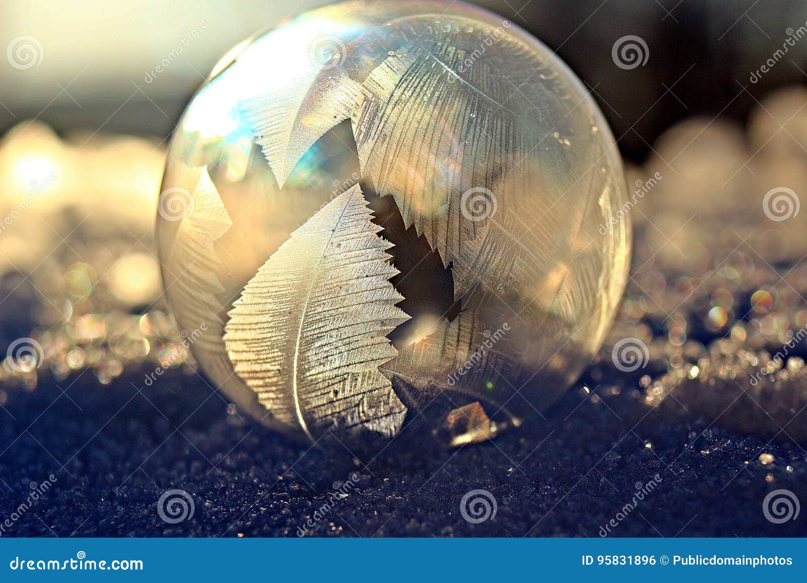 Water, Close Up, Photography, Macro Photography Picture. Image: 95831896