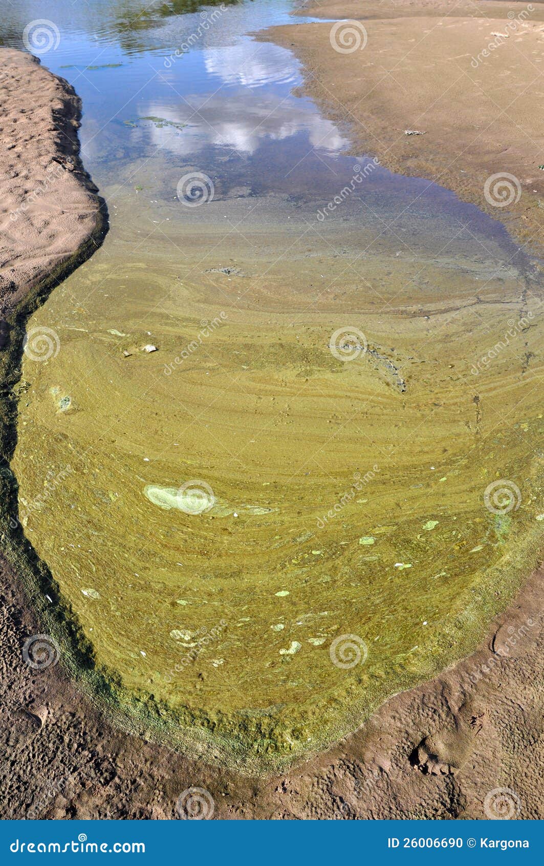 Water coated with sludge stock photo. Image of cloud - 26006690