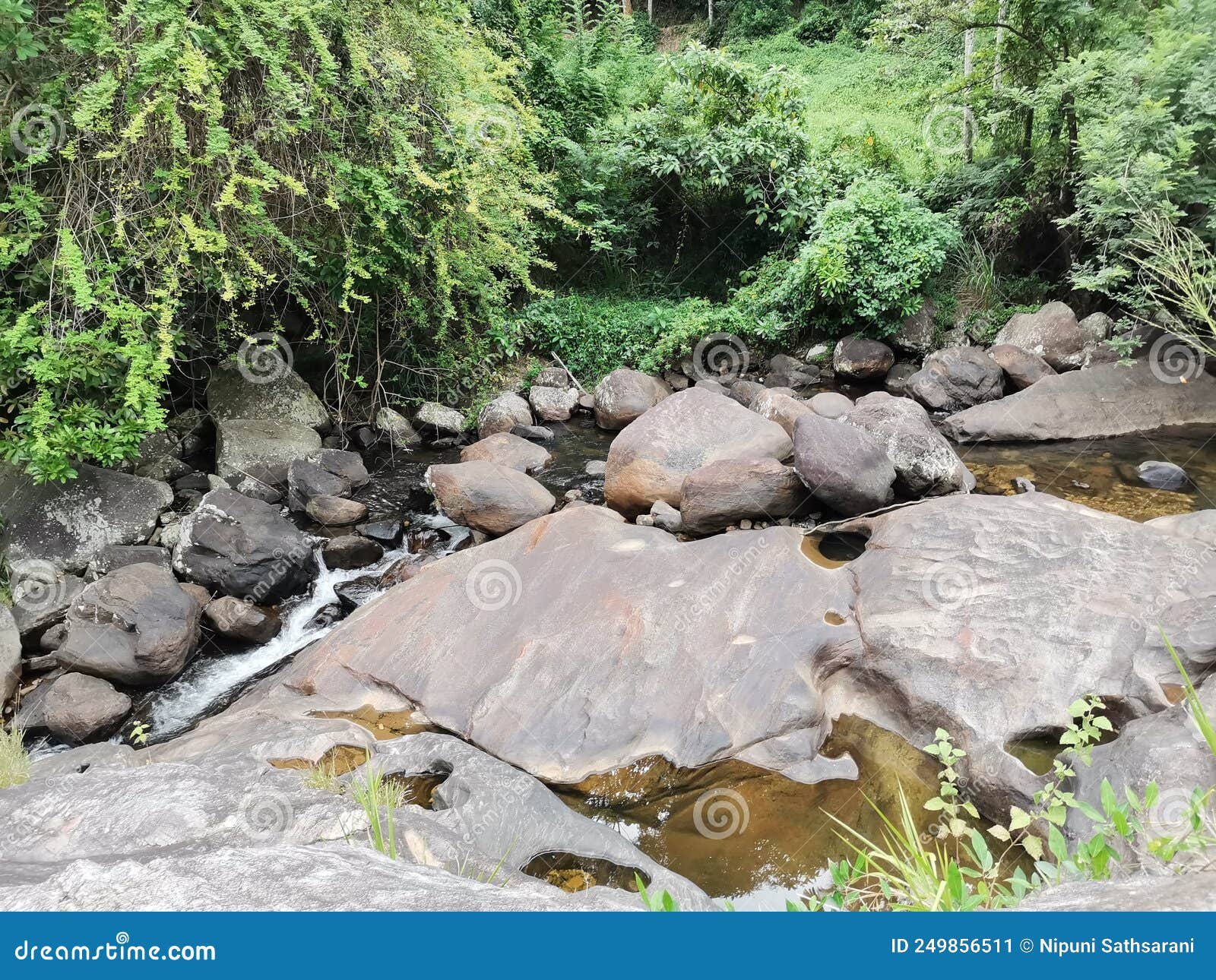 Water Cold forthy bathing stock image. Image of forthy - 249856511