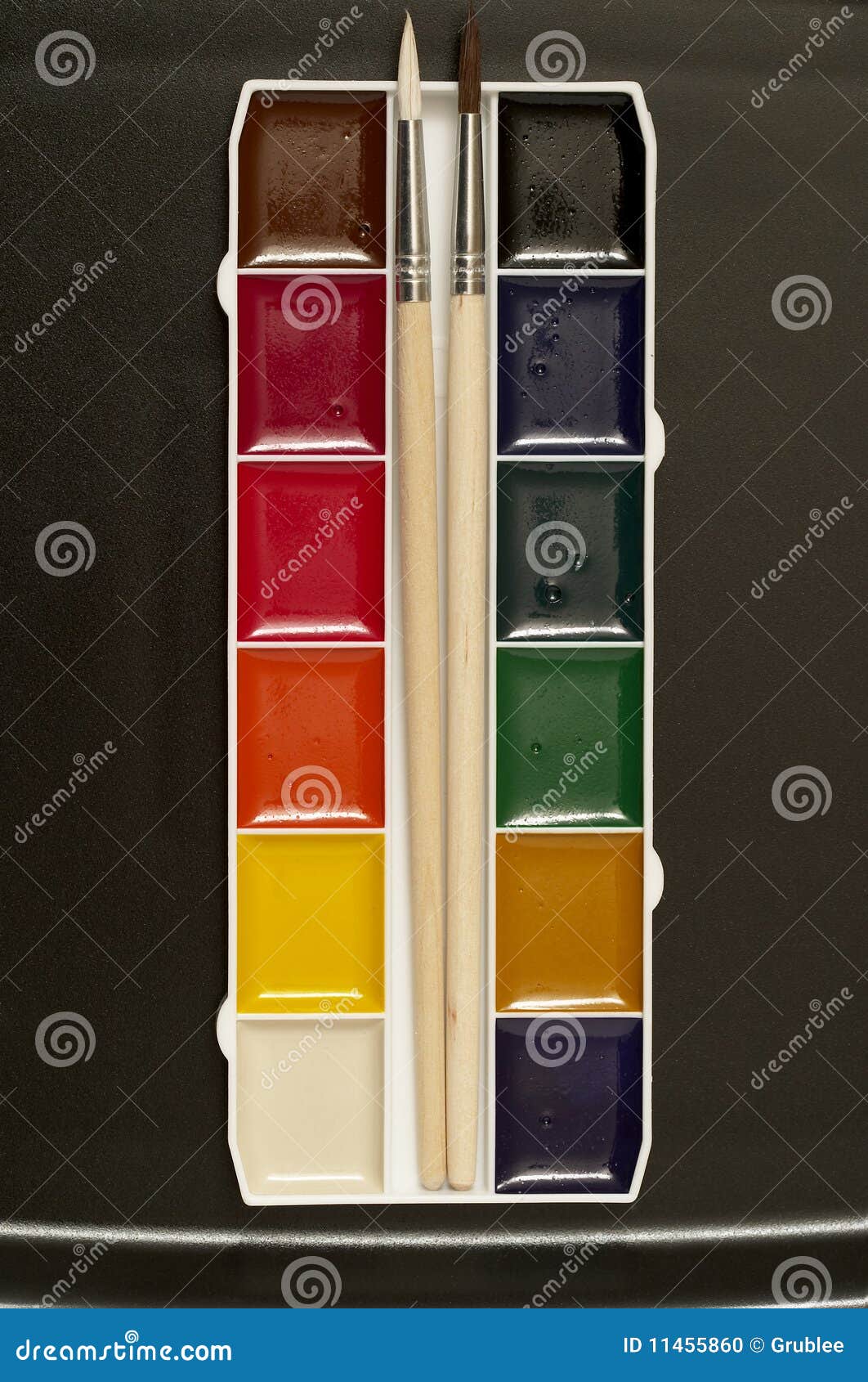 Water-color box stock photo. Image of diversity, variety - 11455860