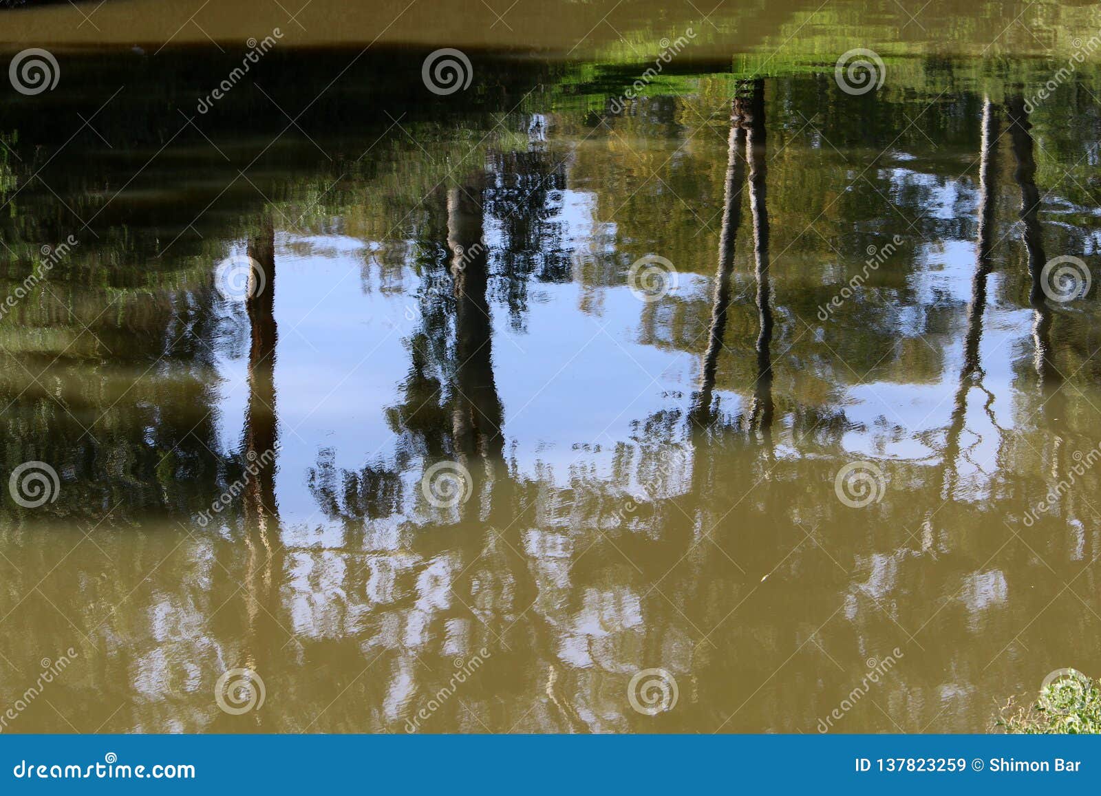 Shallow water reflections stock image. Image of reflections - 137823259