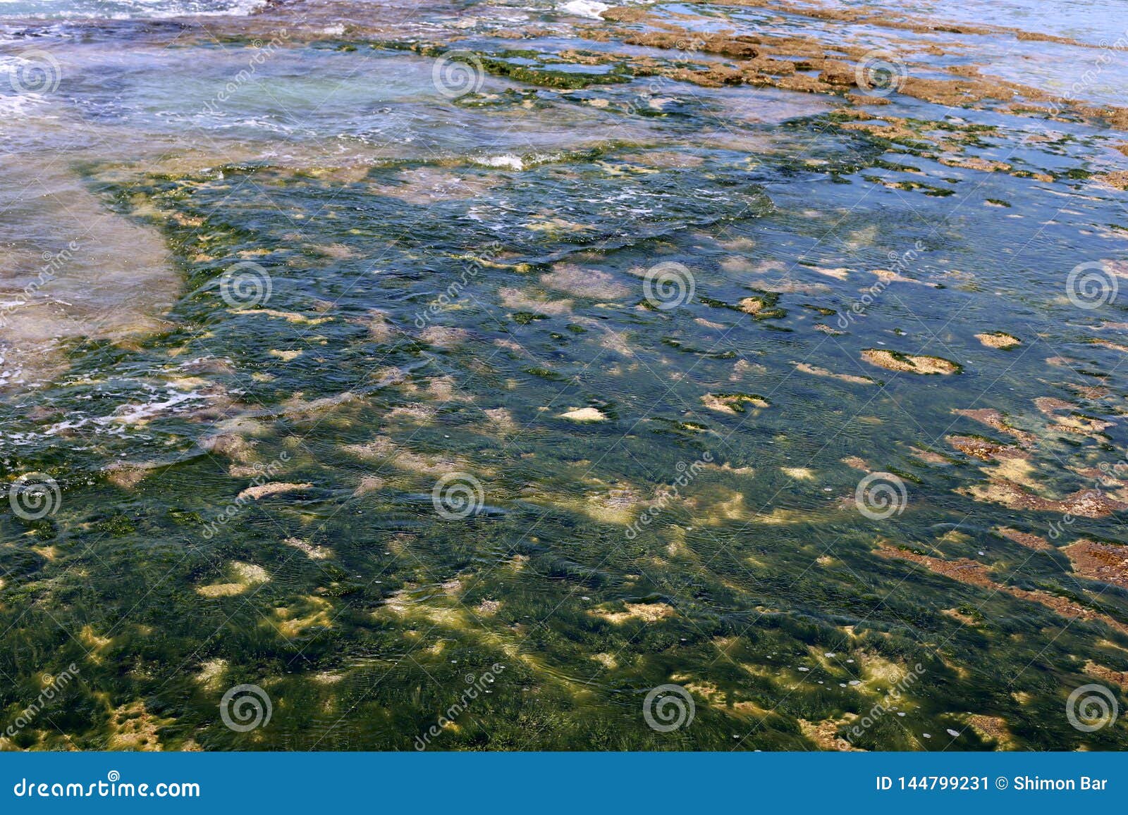 Shallow water color stock image. Image of shoal, stones - 144799231