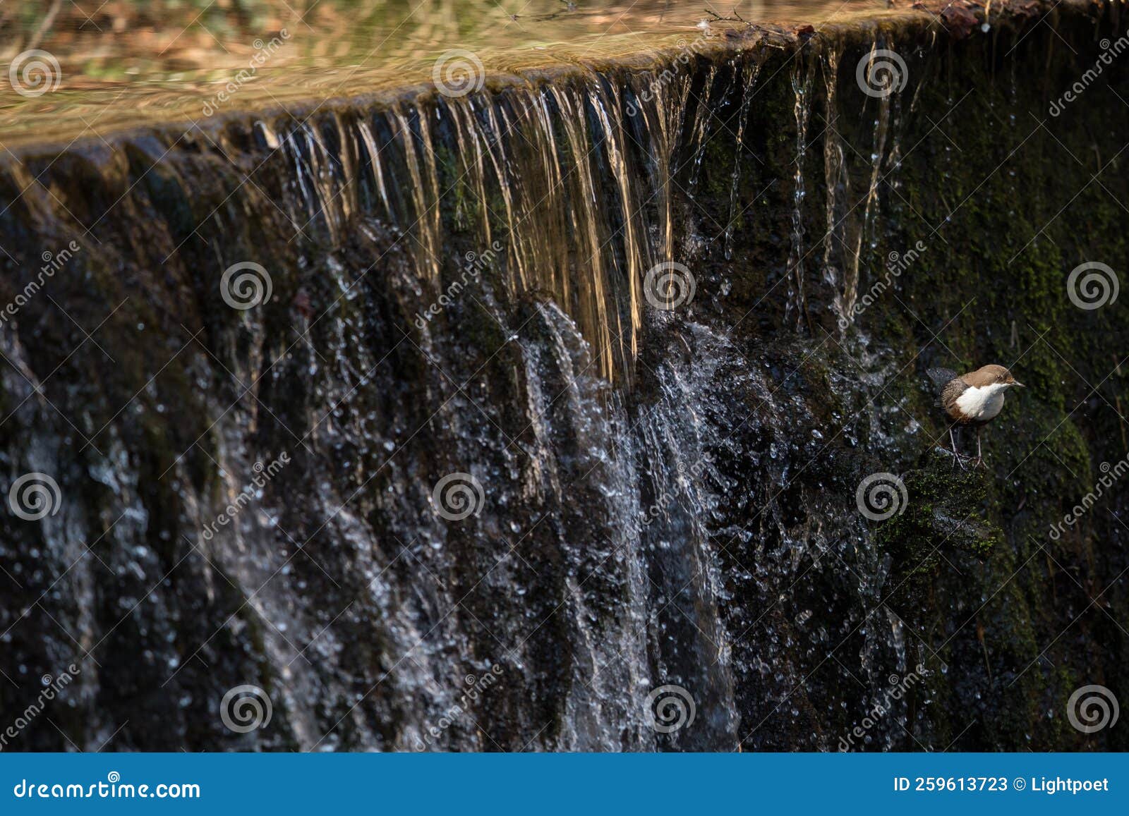 River Water Flowing with Light Reflecting of Its Surface Stock Image ...