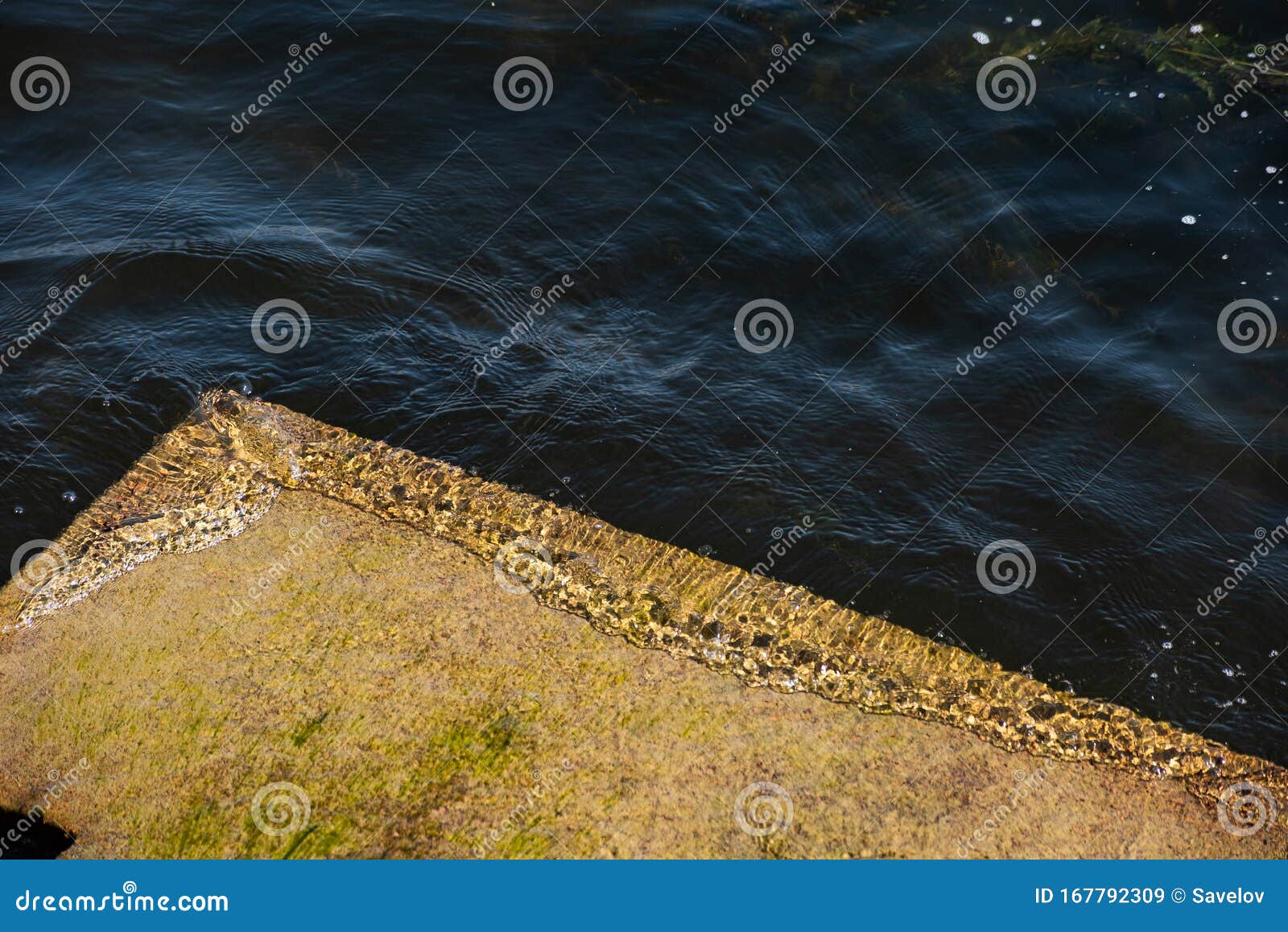 The Water at the Concrete Slab Stock Image - Image of harbor, close ...