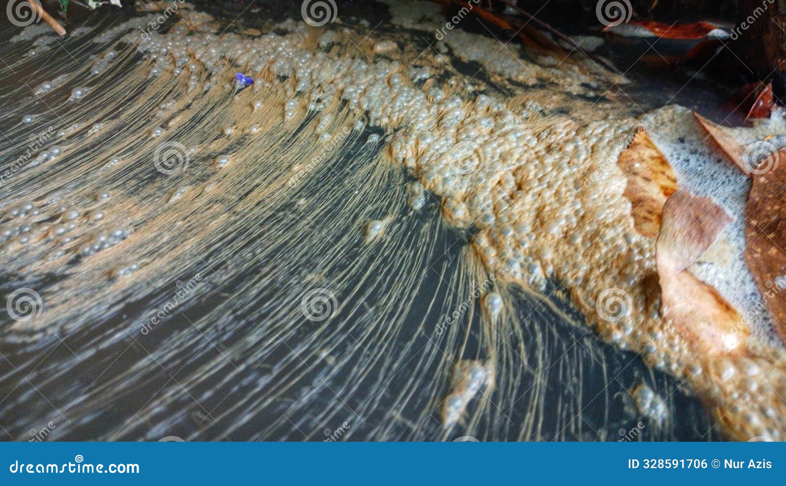 Water Contaminated with Bacteria. Bacteria Water Stock Photo - Image of ...