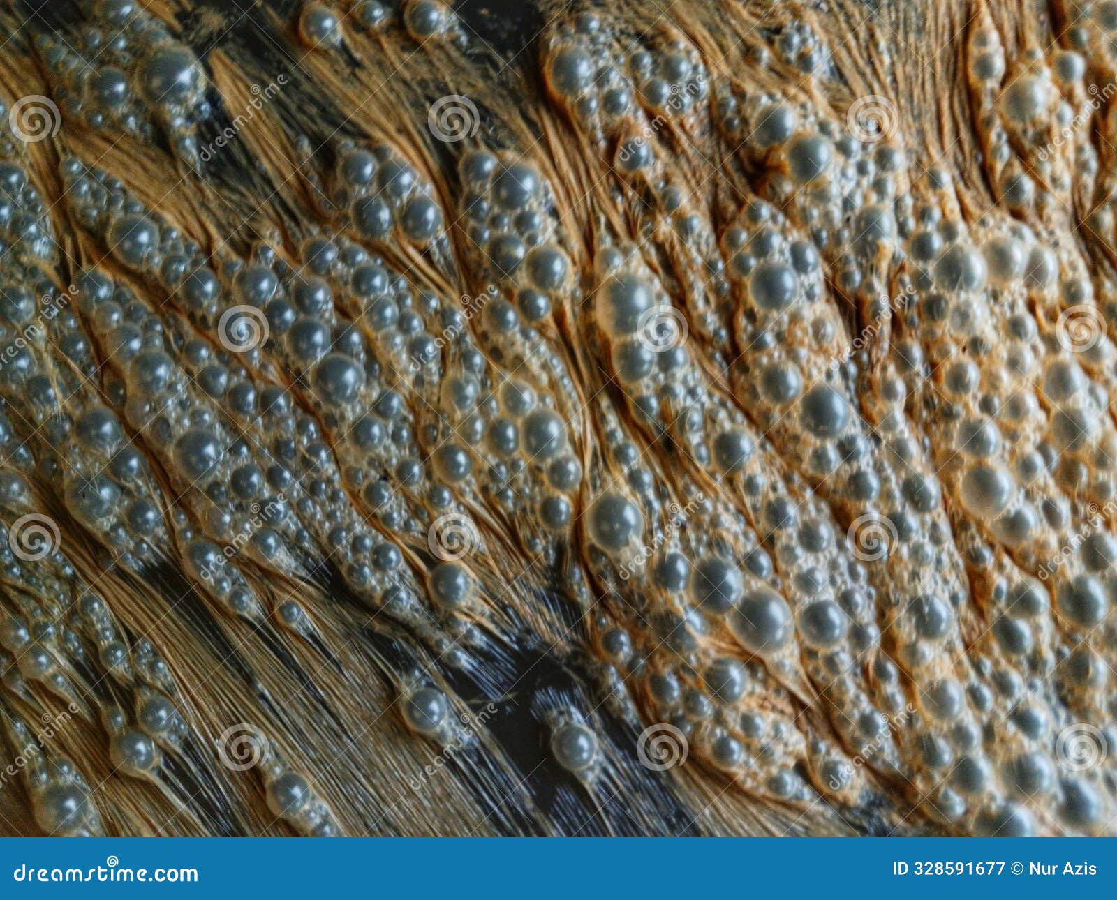 Water Contaminated with Bacteria. Bacteria Water Stock Image - Image of ...