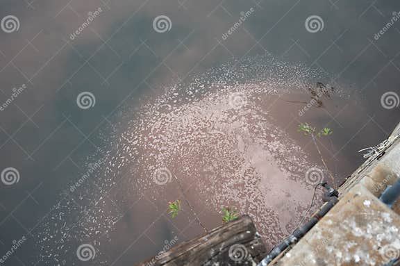 Water Contamination Problem Stock Image - Image of colored, harbour ... Water Contamination Problem Stock Image - Image of colored, harbour ...