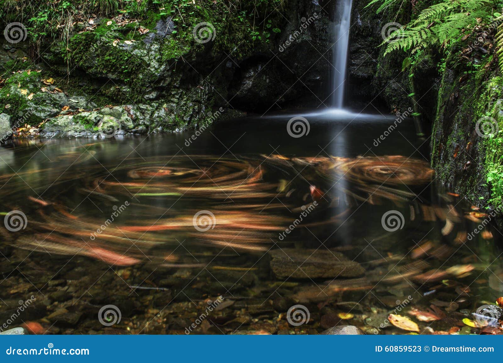 Water creek stock image. Image of tree, mossy, relaxing - 60859523
