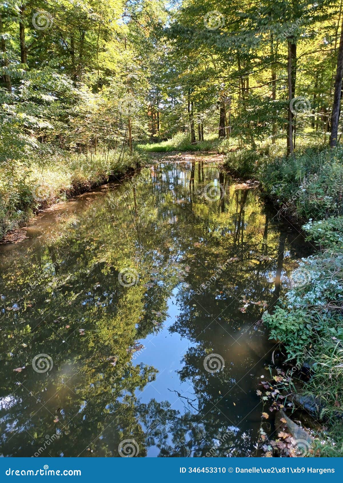 Bright Reflection Of Moss Covered Boulders In Calm Section Of River ...
