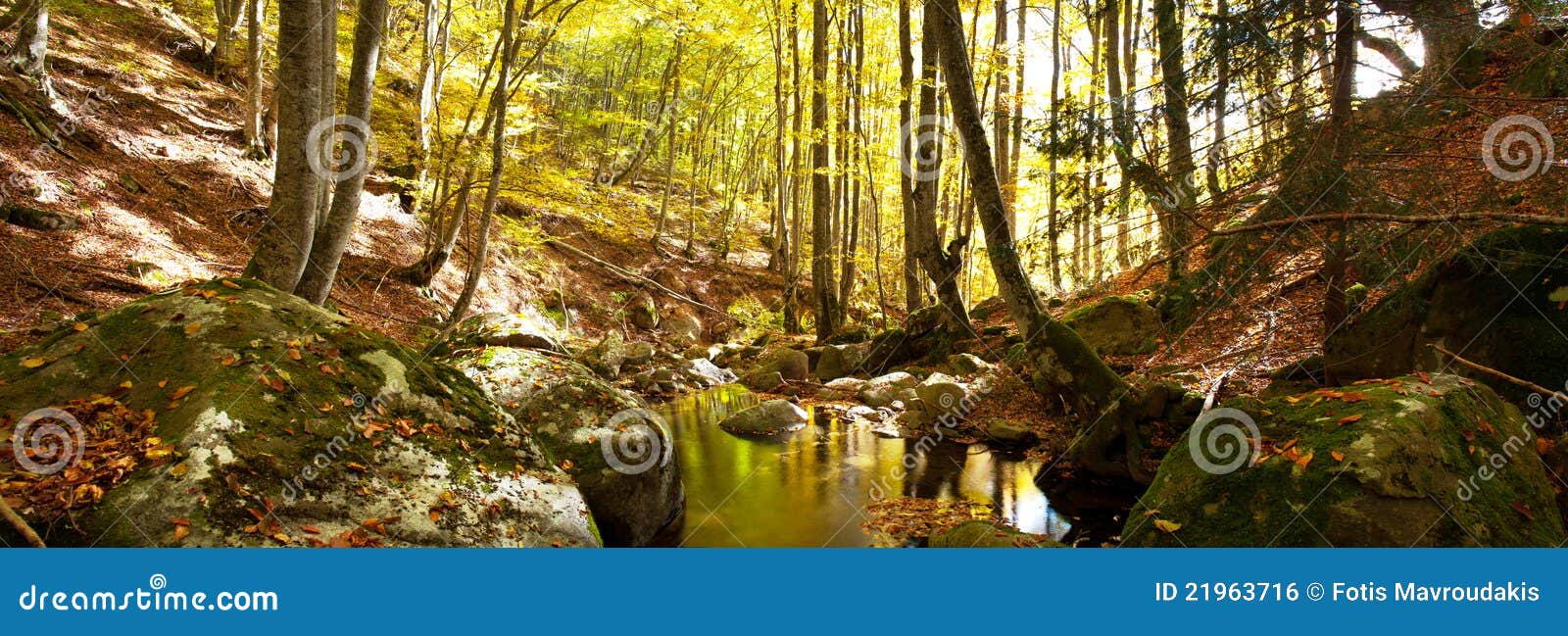 Water creek panorama stock photo. Image of peaceful, fall - 21963716