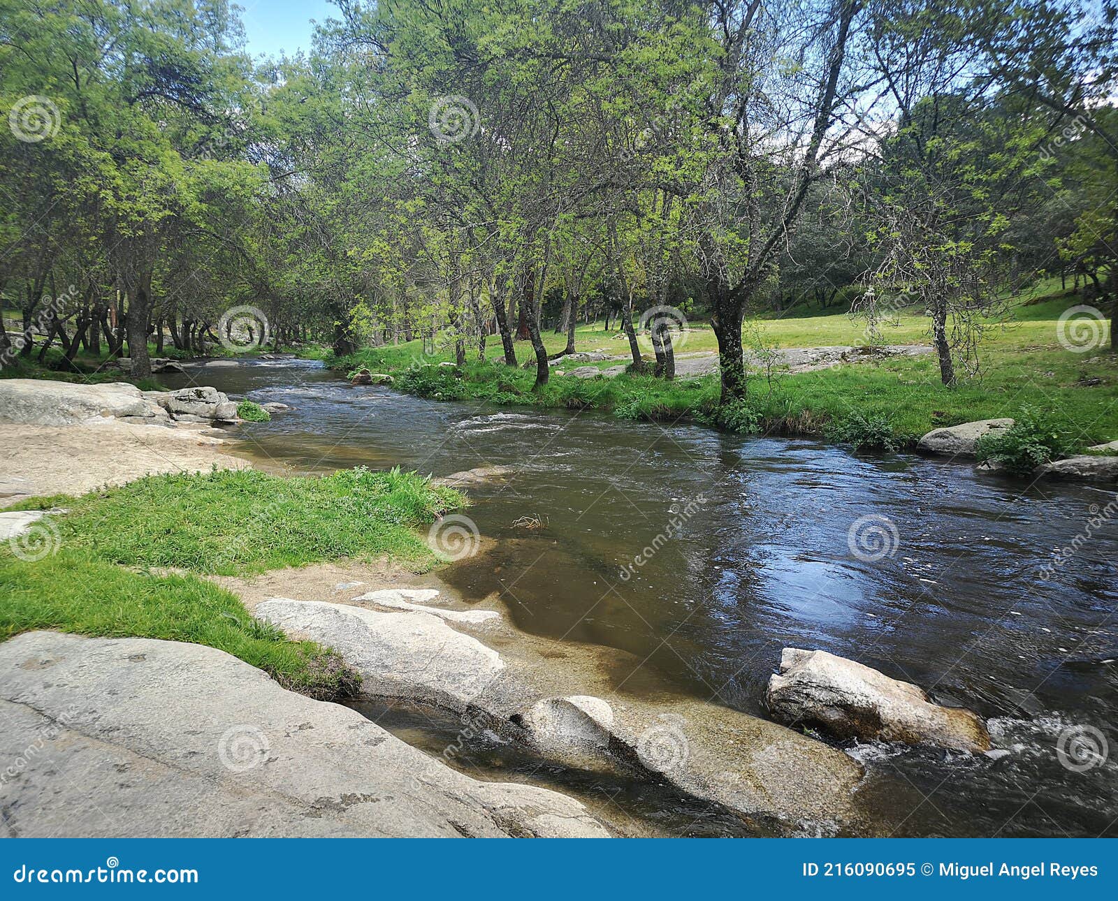 Water Creek in the Woods in Spring Stock Image - Image of reflection ...