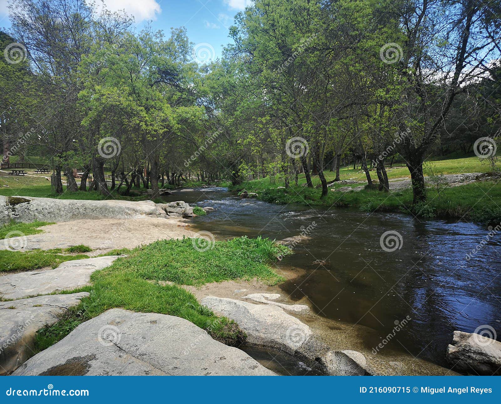 Water Creek in the Woods in Spring Stock Image - Image of creek, motion ...