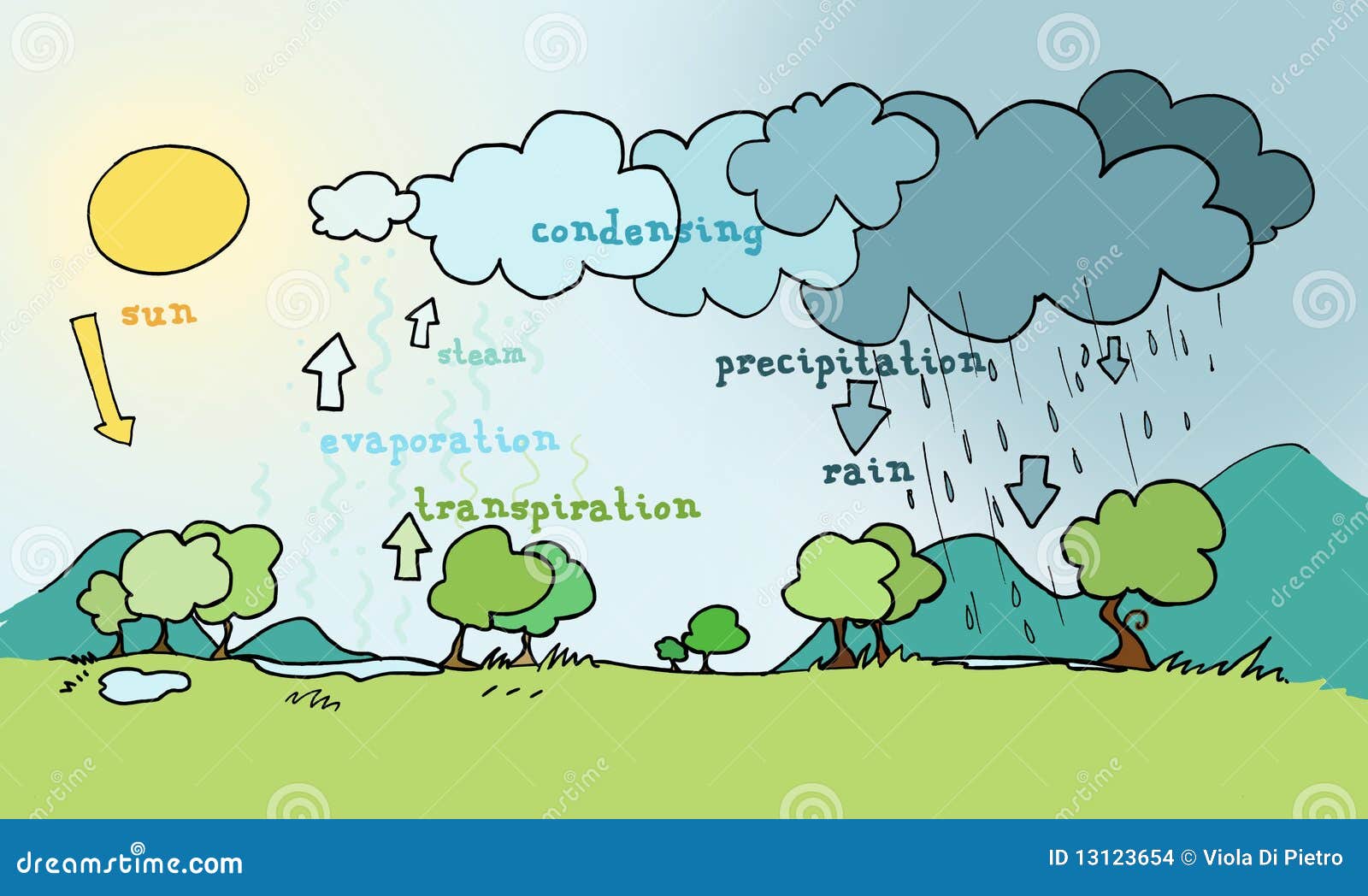 Water Cycle Animation Free Download