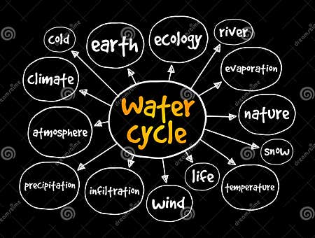 Water Cycle Mind Map, Concept for Presentations and Reports Stock ...