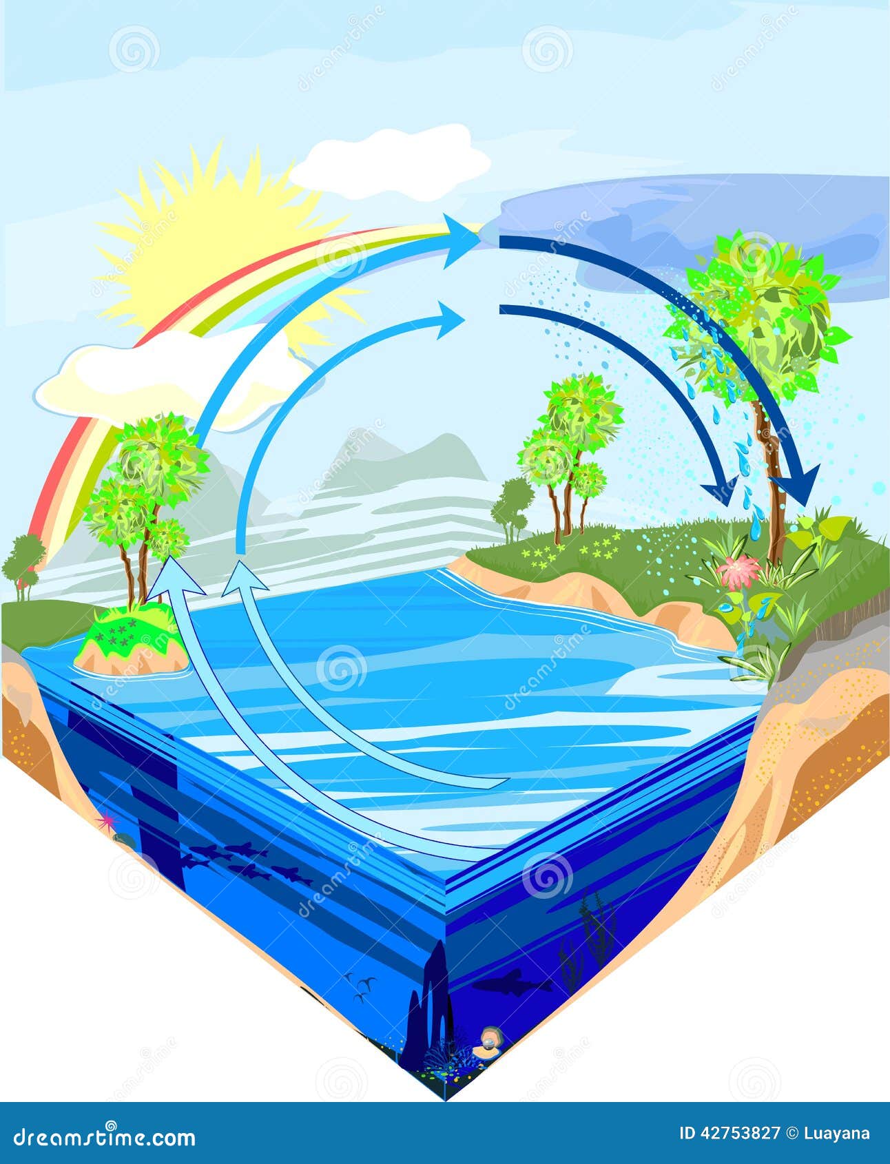 Water Cycle In Nature Cartoon Vector | CartoonDealer.com #42753827