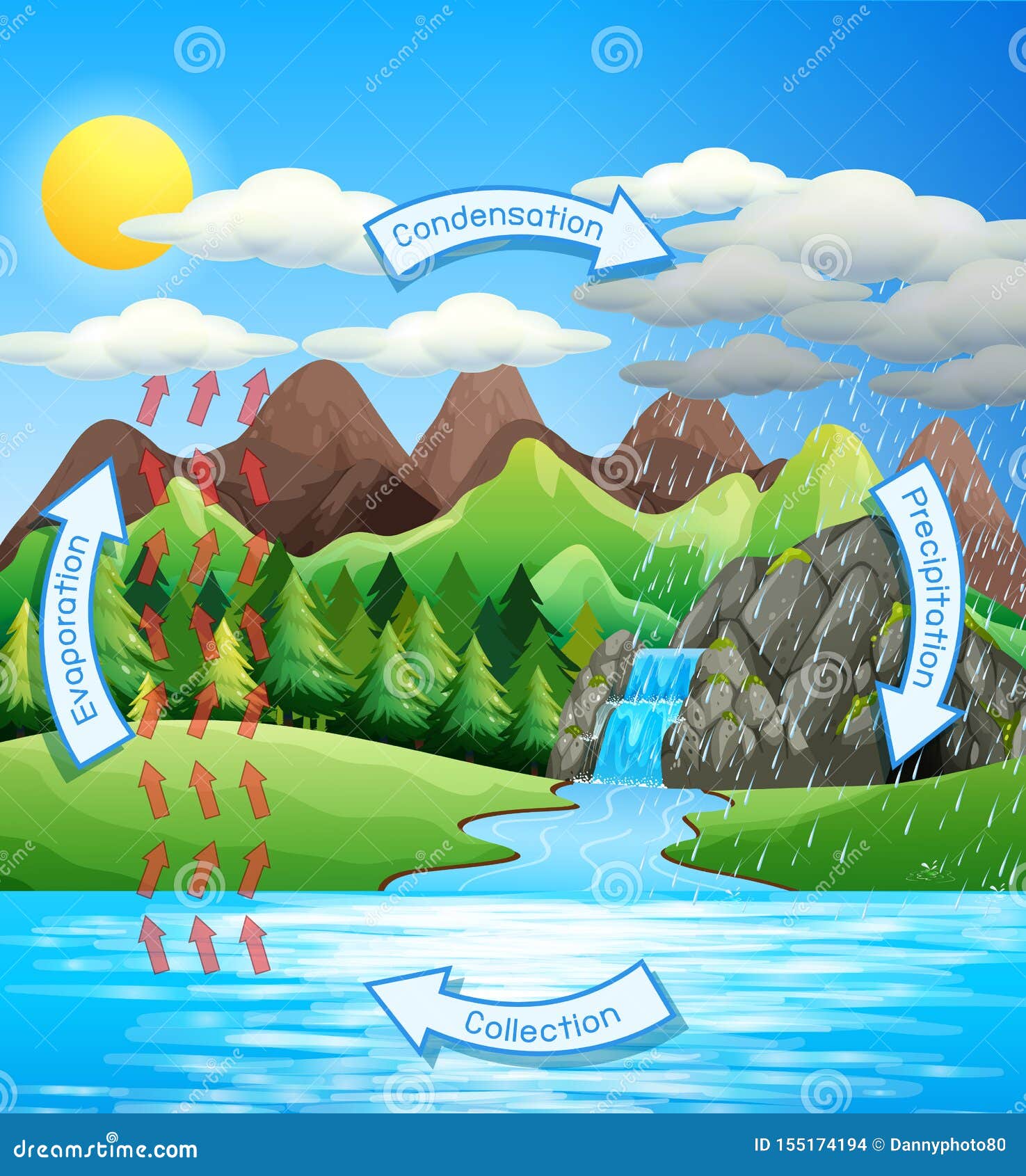 Water Cycle Illustration | CartoonDealer.com #53501652