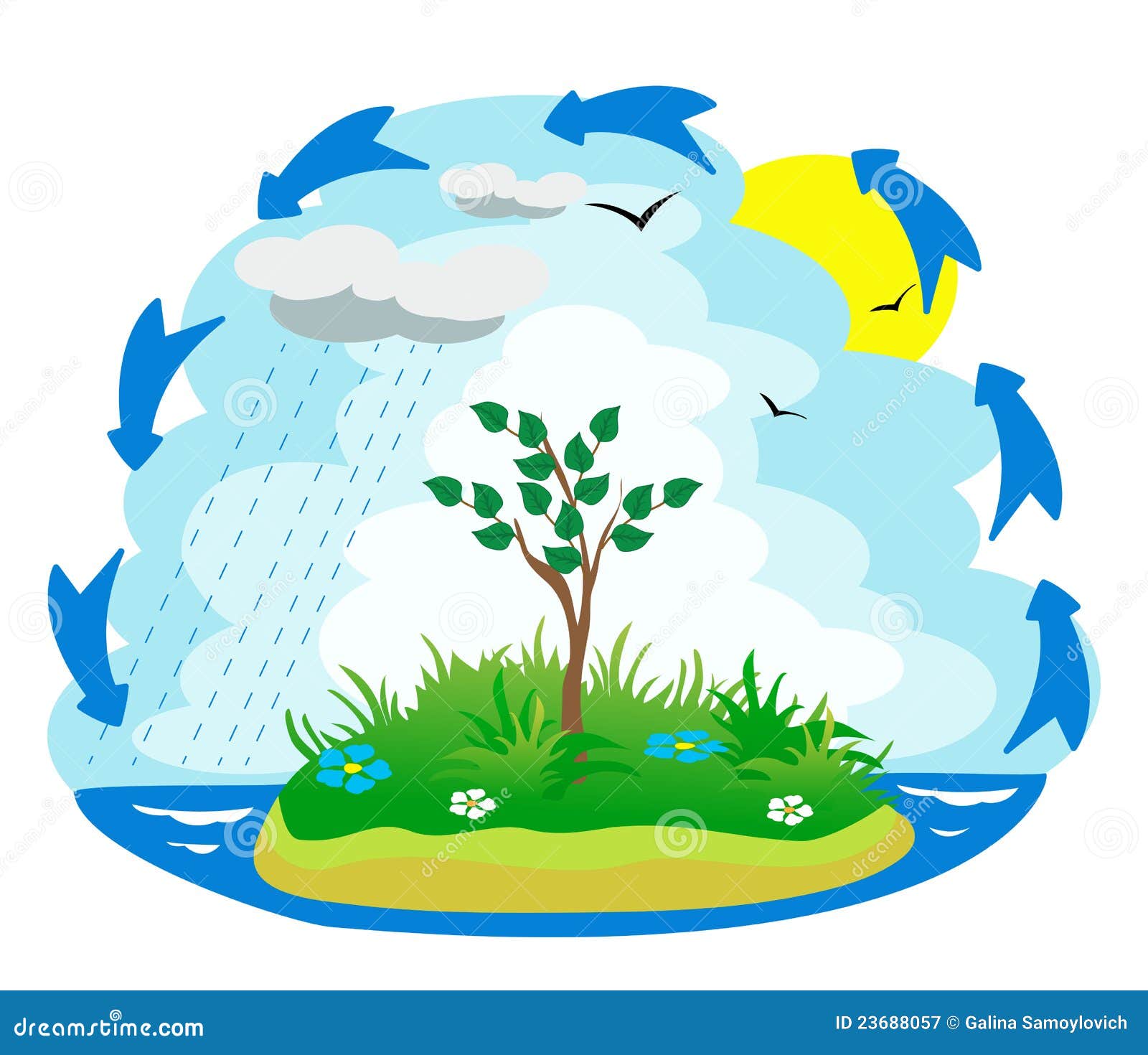 Water cyclus vector illustratie. Illustration of leven - 23688057