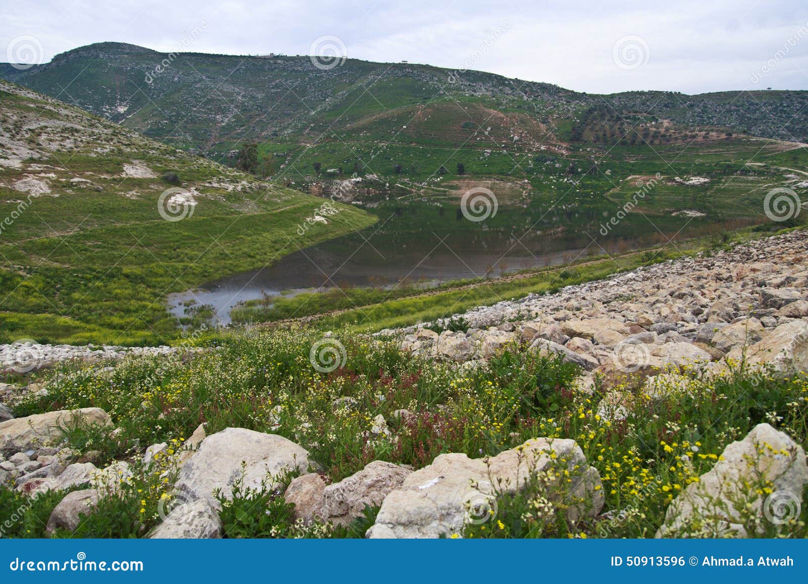 Water dam in Jordan stock photo. Image of marsh, landscape - 50913596
