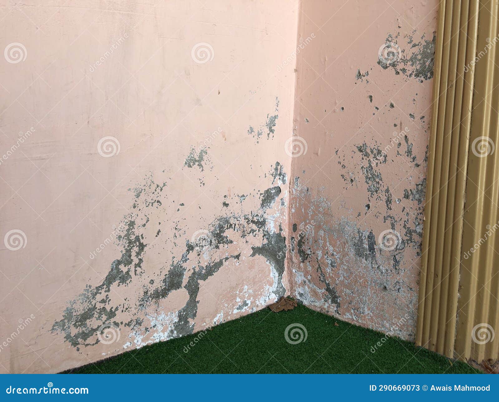 Water Damage Caused by Damp on a Wall in Modern House Stock Image ...