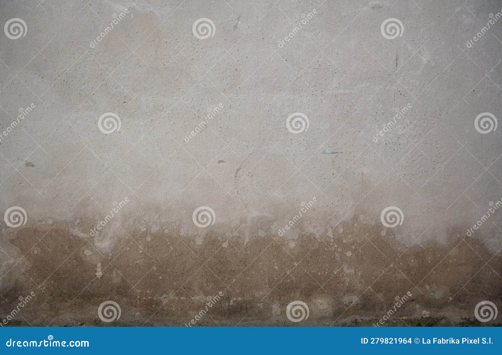Water damage stock photo. Image of house, moldy, moisture - 279821964