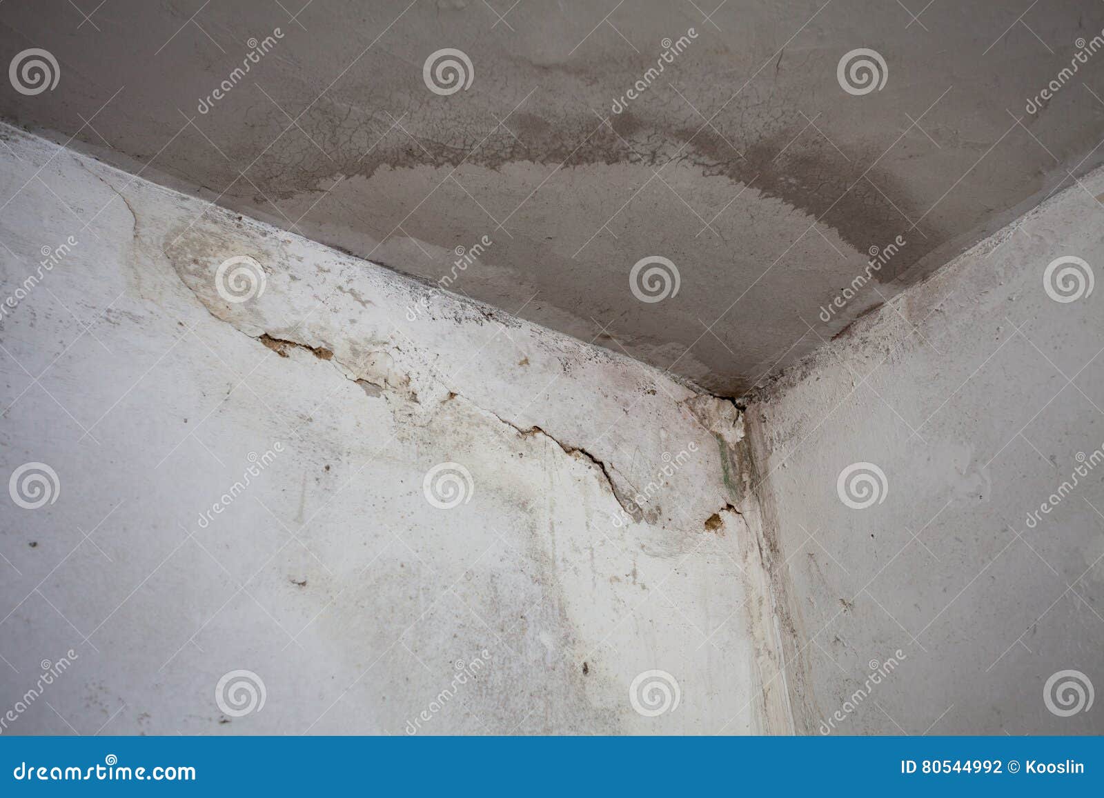 Water Damaged Ceiling and Wall Stock Photo - Image of mildew ...