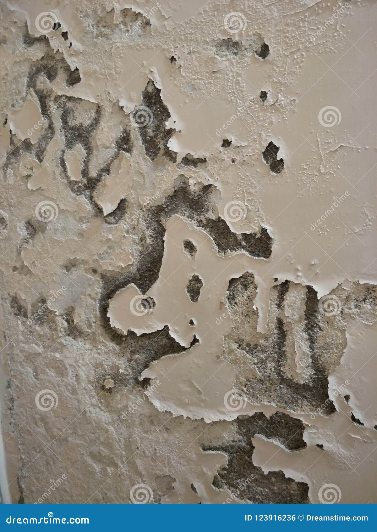 Water damaged walls stock photo. Image of side, wall - 123916236