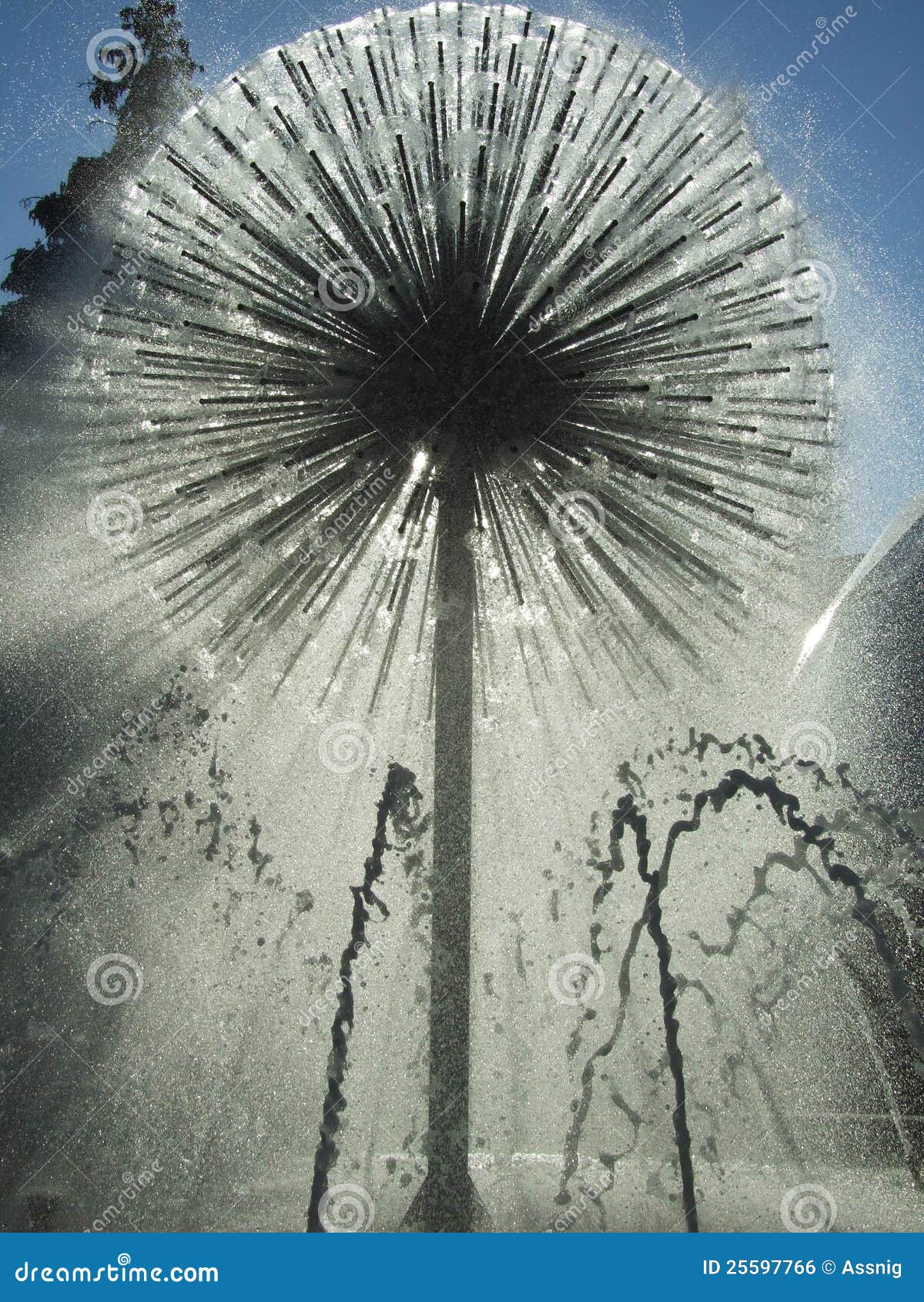 Water dandelion stock photo. Image of molecules, waterfall - 25597766