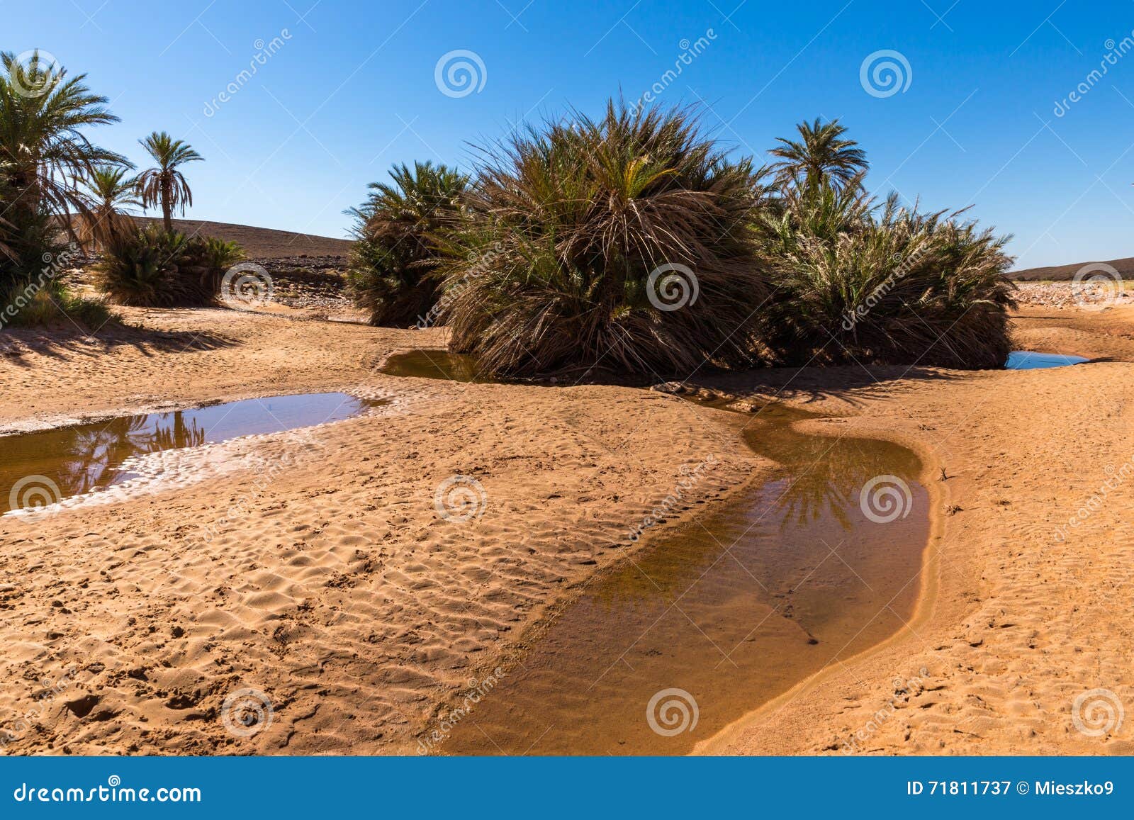 Water in De Oase, De Woestijn Van De Sahara Stock Afbeelding - Image of ...