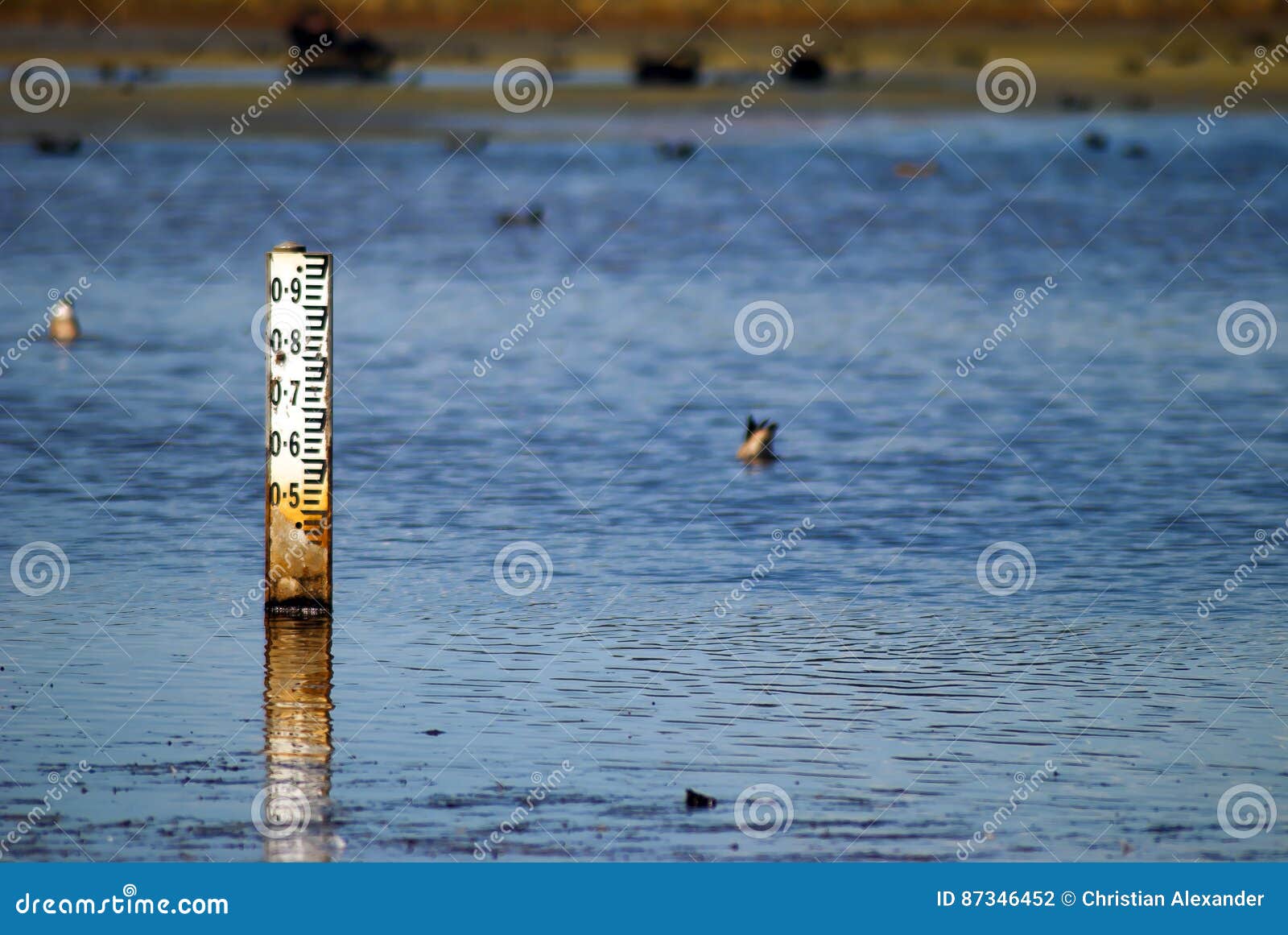 Water Depth Mark On Pool Edge Stock Image | CartoonDealer.com #57072457