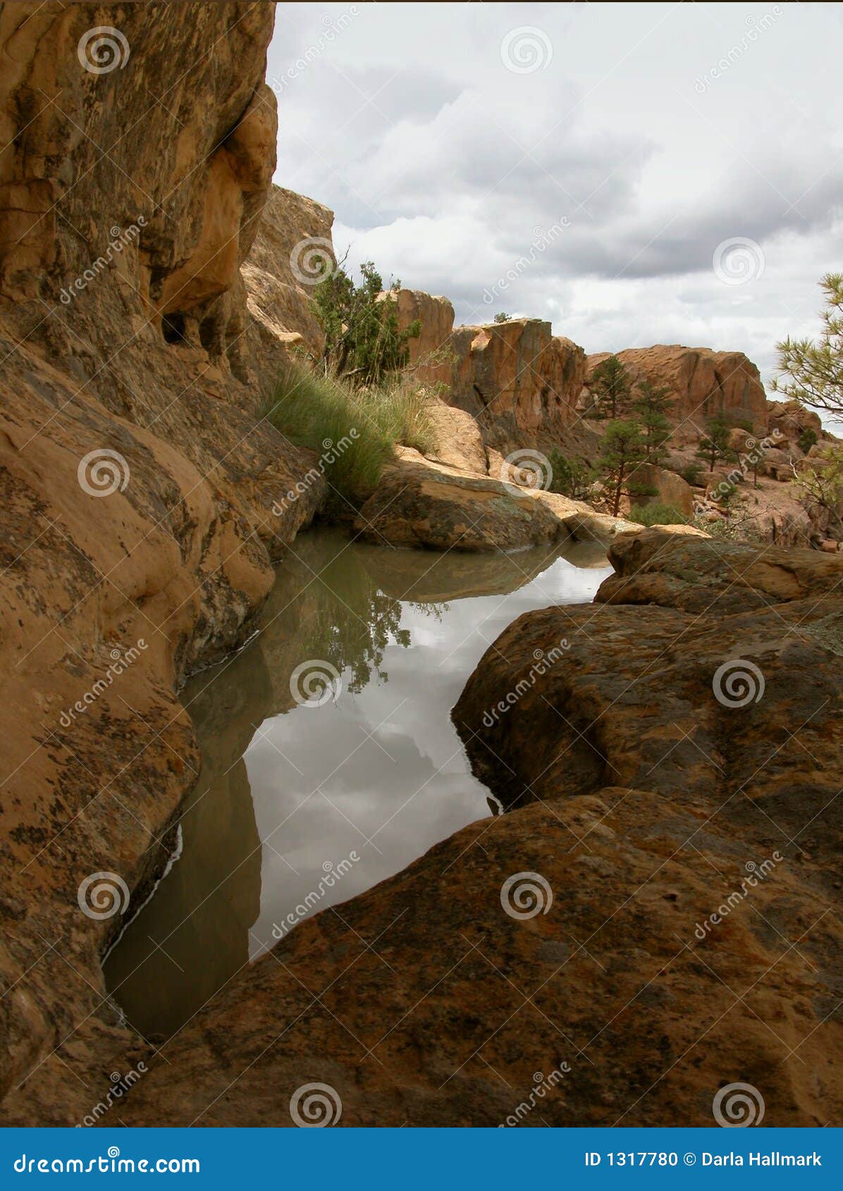 Water in the desert stock photo. Image of cliff, depression - 1317780