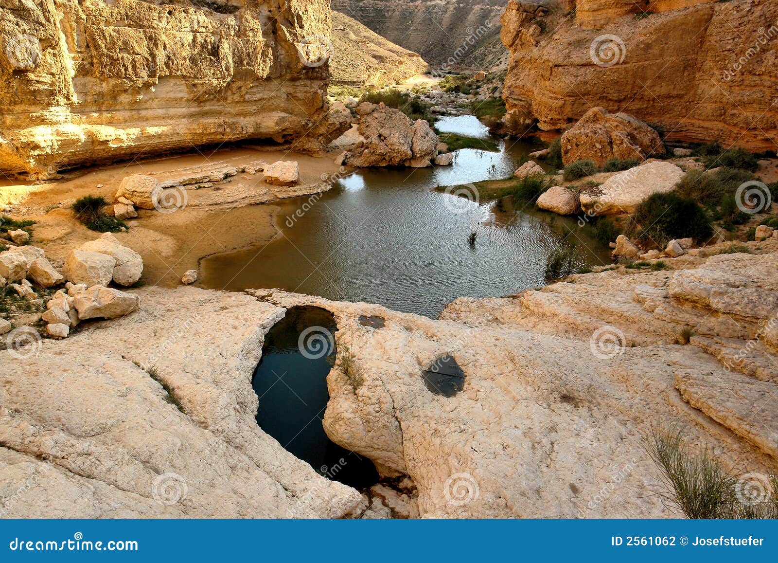 Water in the desert stock photo. Image of desert, spring - 2561062
