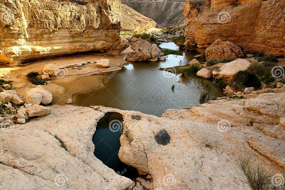 Water in the desert stock photo. Image of desert, spring - 2561062