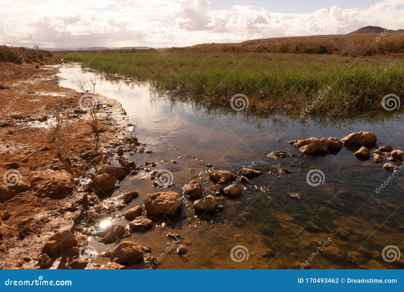 Water in the Desert in the Wadi of the River Draa Stock Photo - Image ...