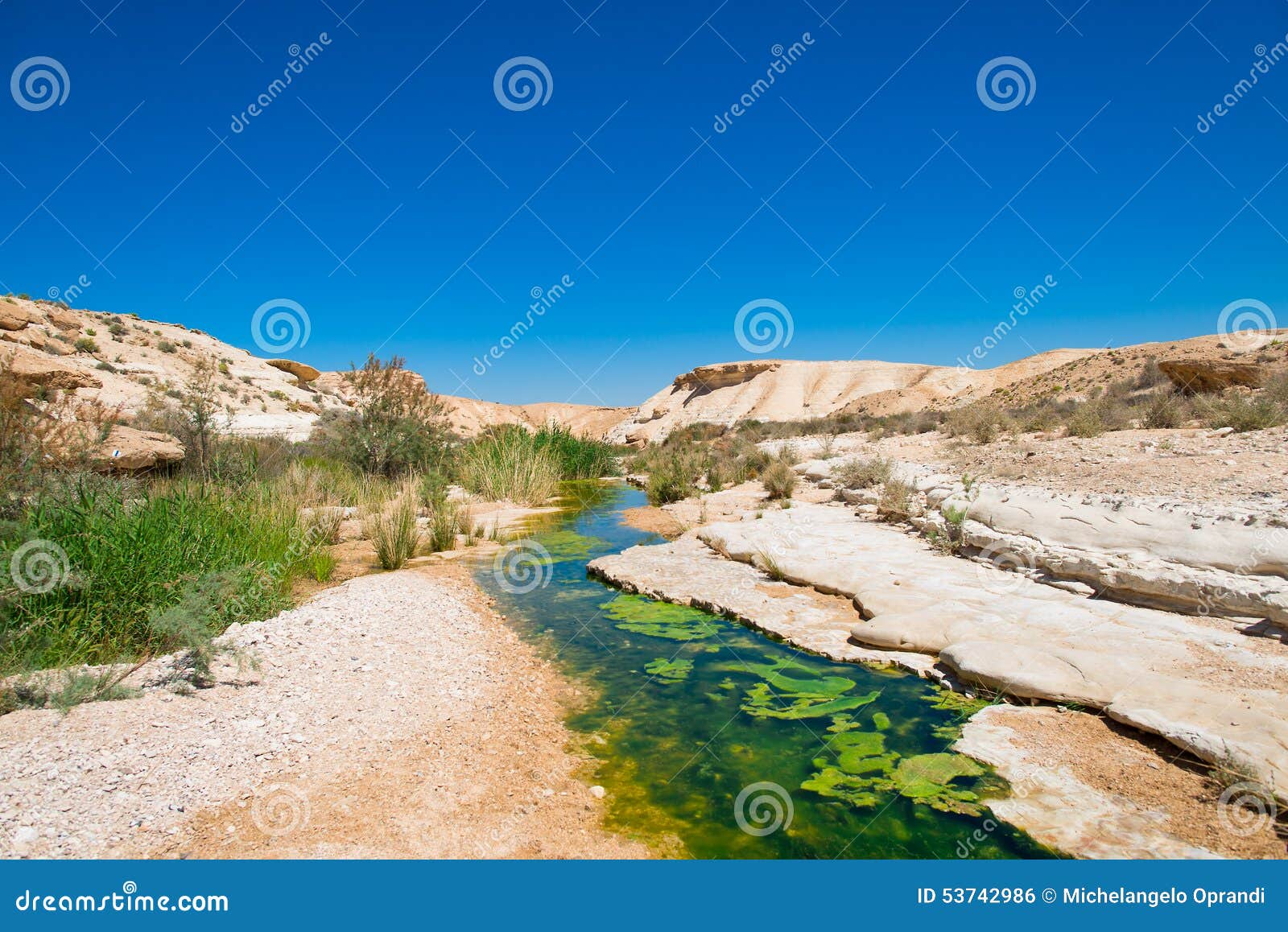 Water in the Desert of Negev Stock Photo - Image of canyon, stream ...