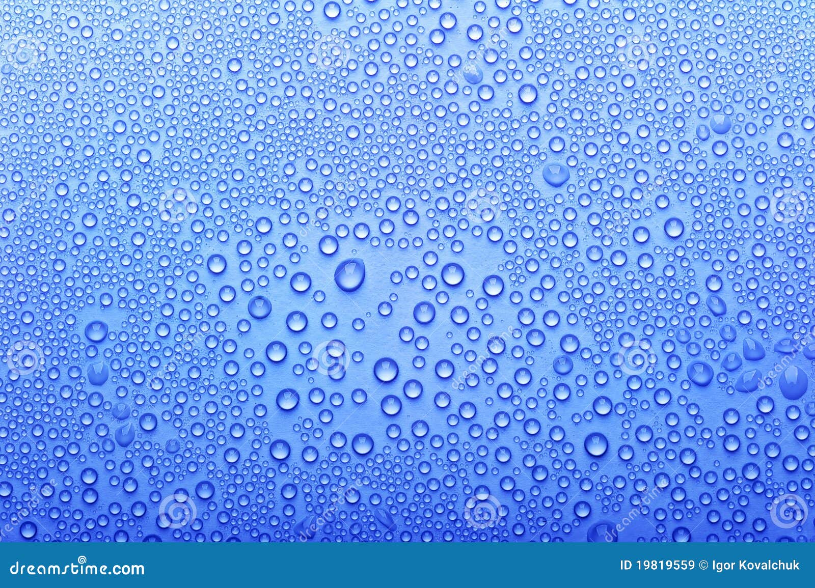 Water dew stock image. Image of environment, pattern - 19819559