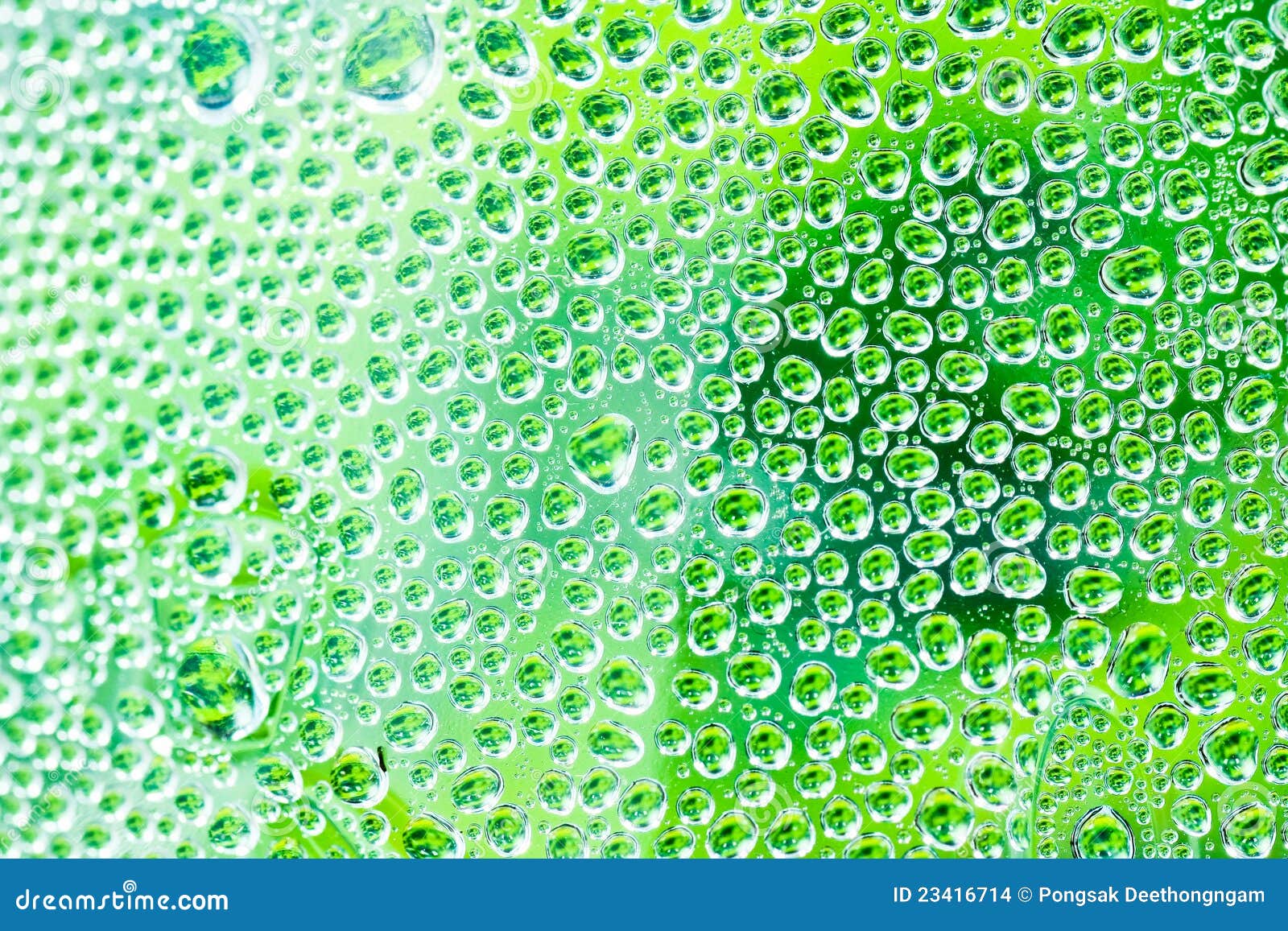 Water dew drops stock photo. Image of small, natural - 23416714