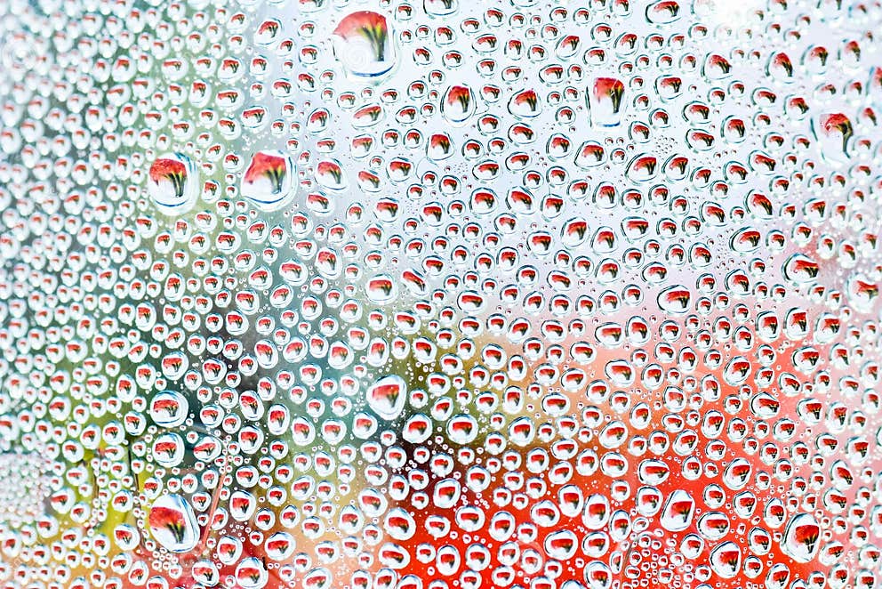 Water dew drops stock image. Image of ornamental, climate - 23416819