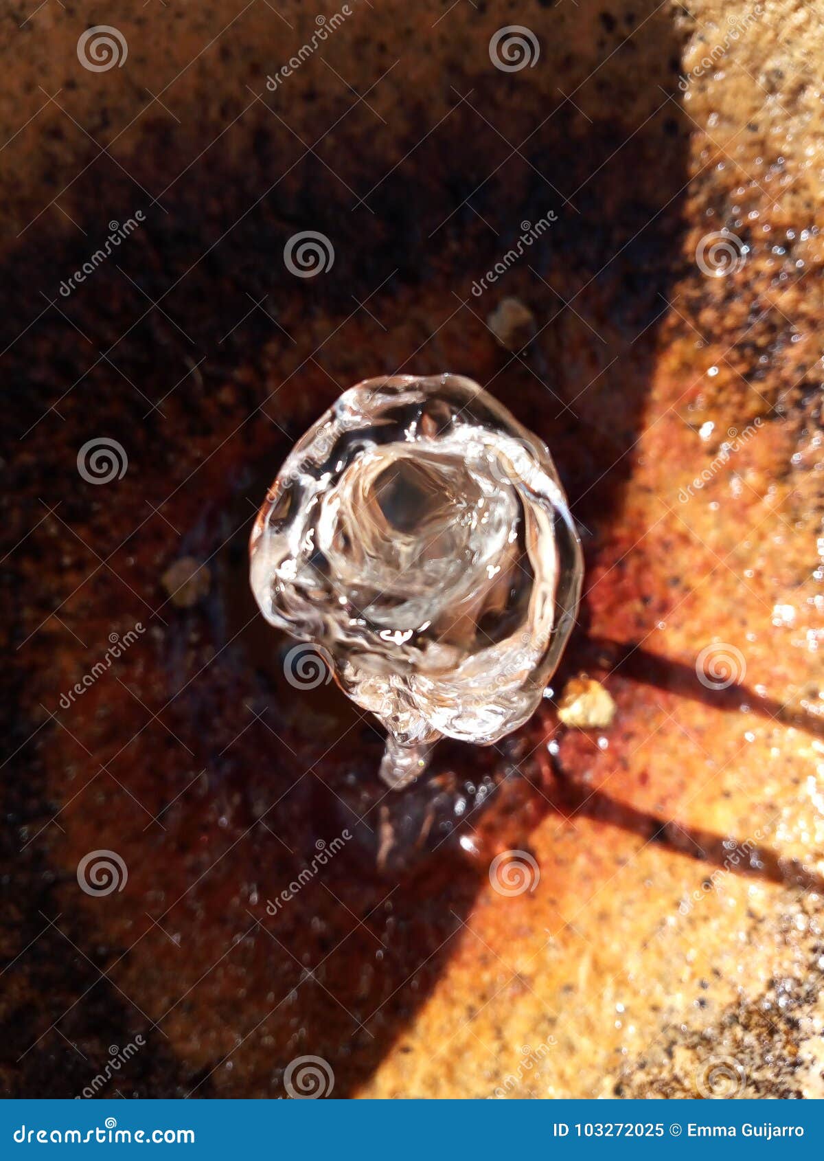 Water diamond stock image. Image of sprout, light, source - 103272025