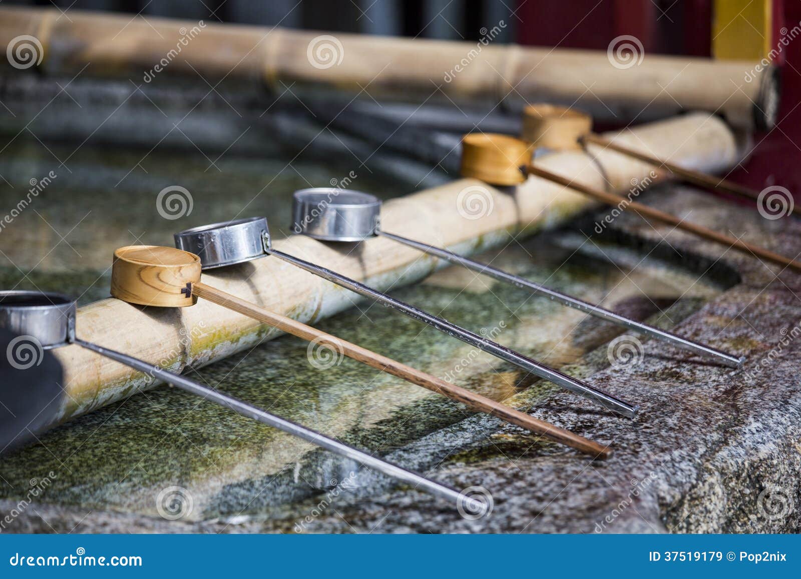 Water Dipper Stock Image | CartoonDealer.com #42470989