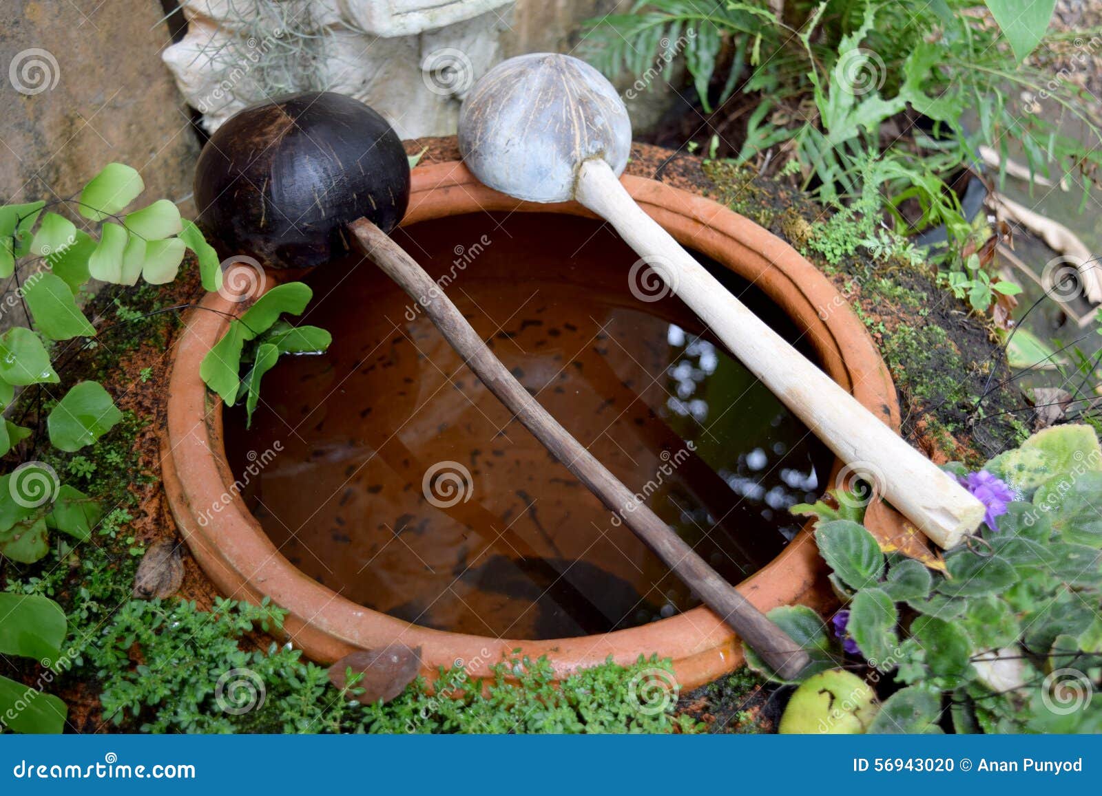 Water Dipper Made From Coconut Shell On Water Clay Pots Stock ...